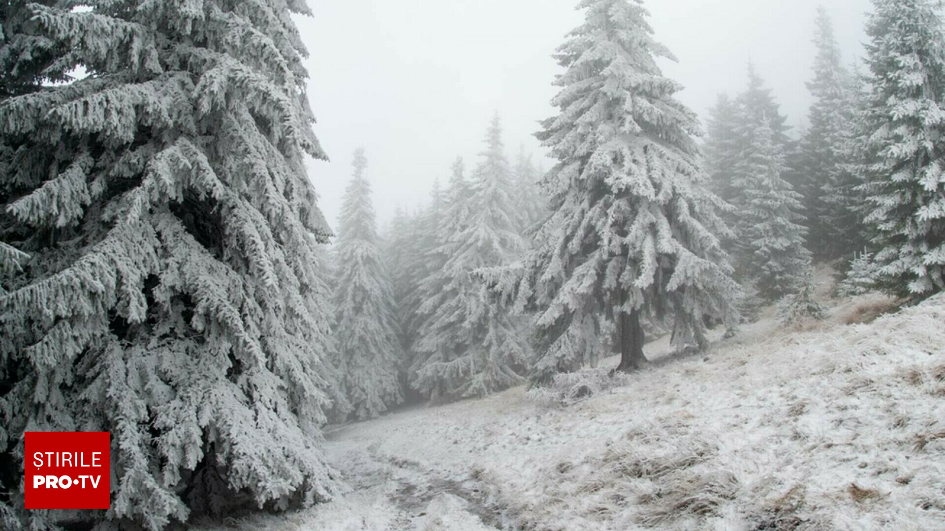 Vremea azi, 5 februarie. Ninsori slabe și vânt puternic în mai multe ...