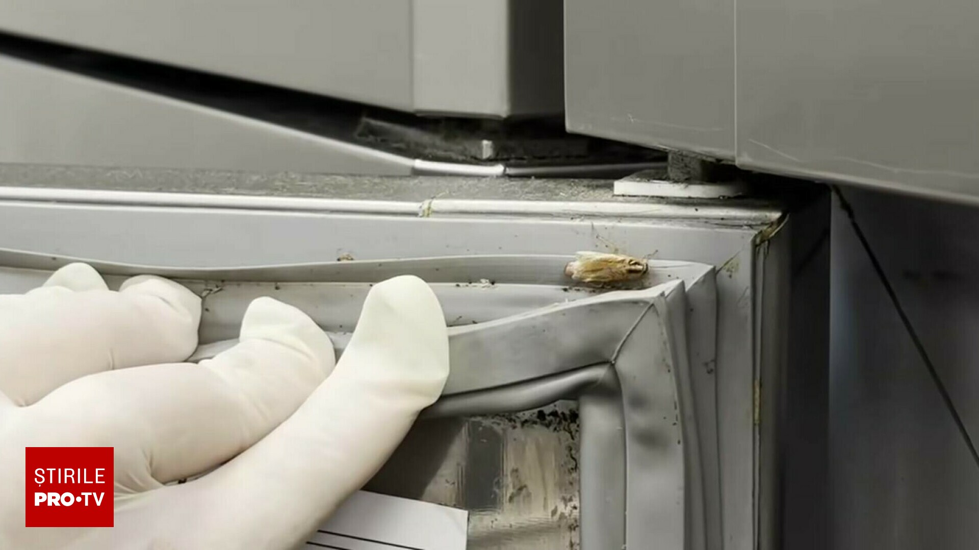 ANPC, amenzi de peste un milion de lei după ce a descoperit nereguli ...