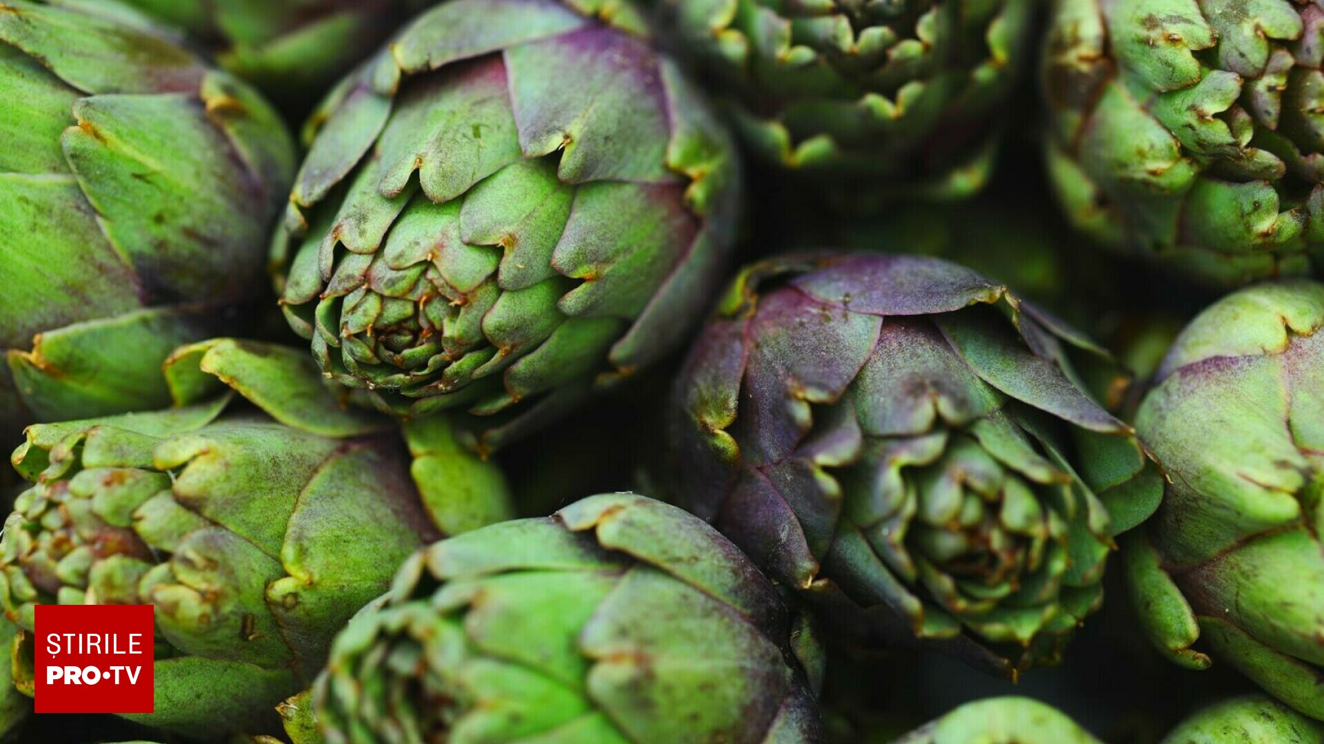 Anghinare - totul despre această plantă. Beneficii, proprietăți și ...