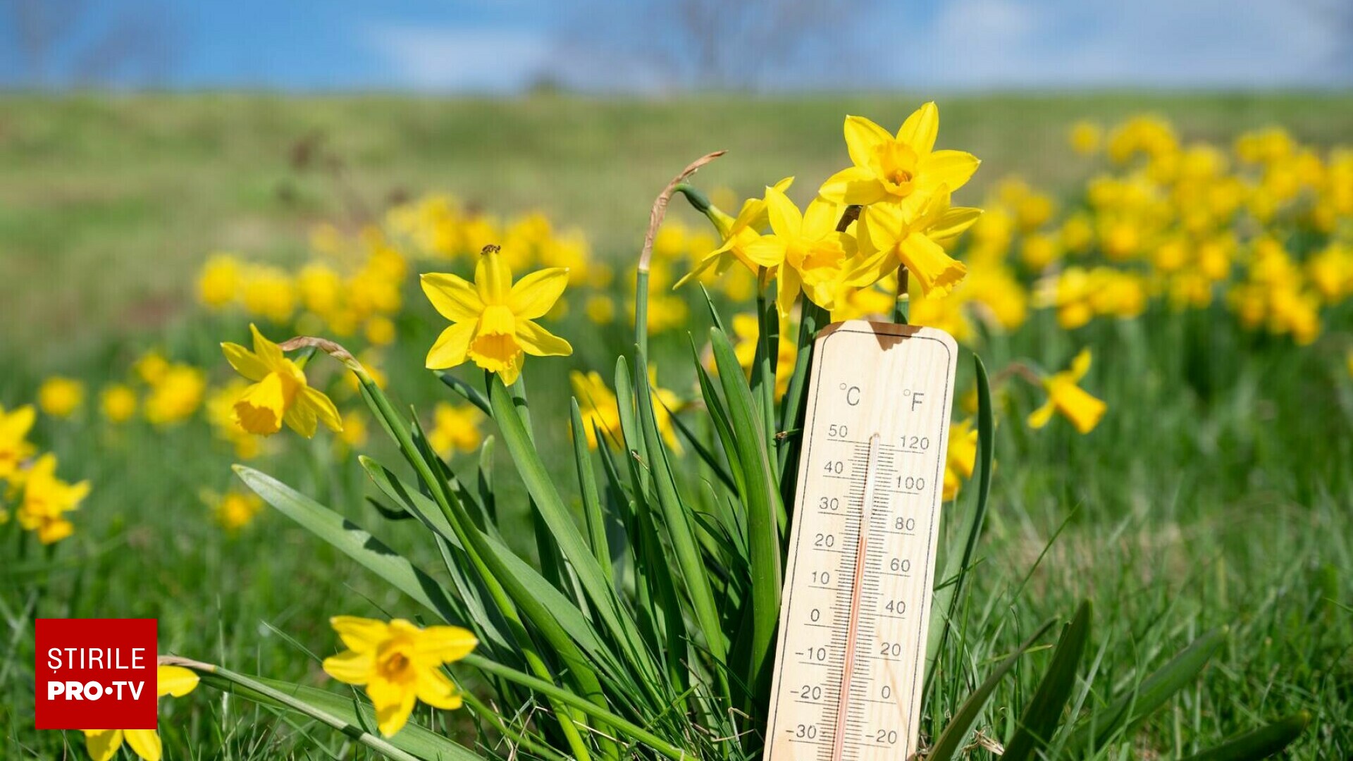 Cum va fi vremea în minivacanța de 1 Mai. Prognoza meteo pentru ultima lună de primăvară ...