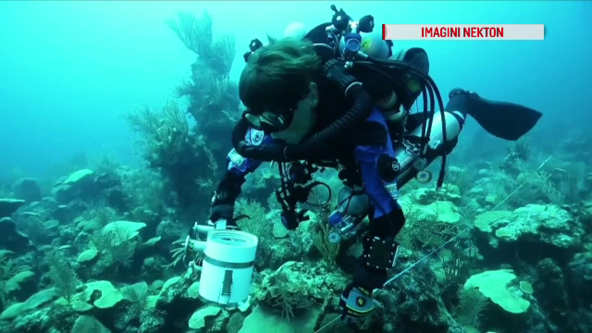Prima transmisie LIVE din adâncul oceanului. Scafandrii vor coborî în ...