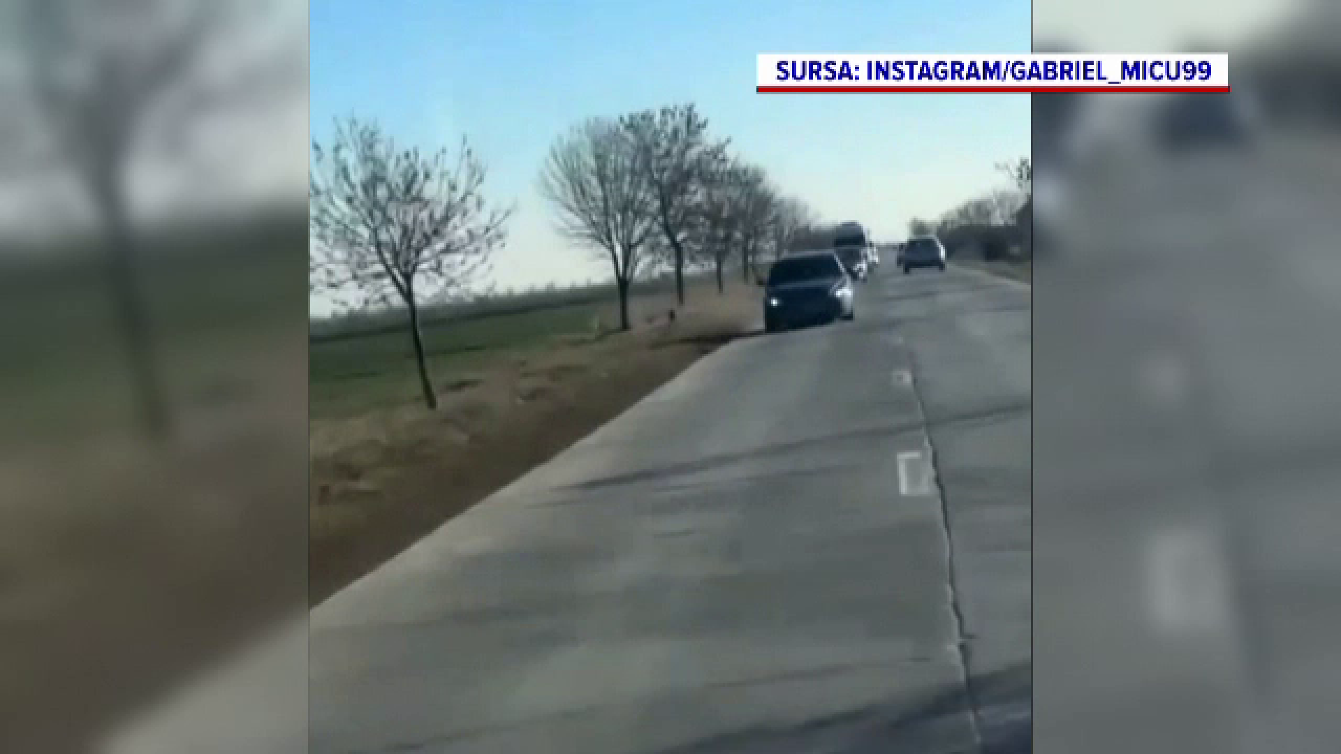 Un antrenor de kickboxing din Craiova s-a filmat când gonea pe ...