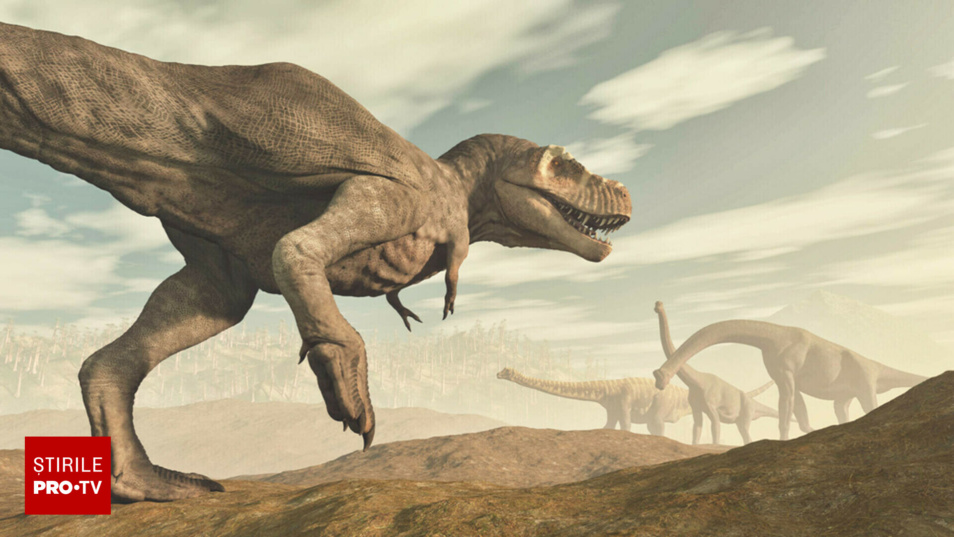 Descoperire dinozauri în Portugalia