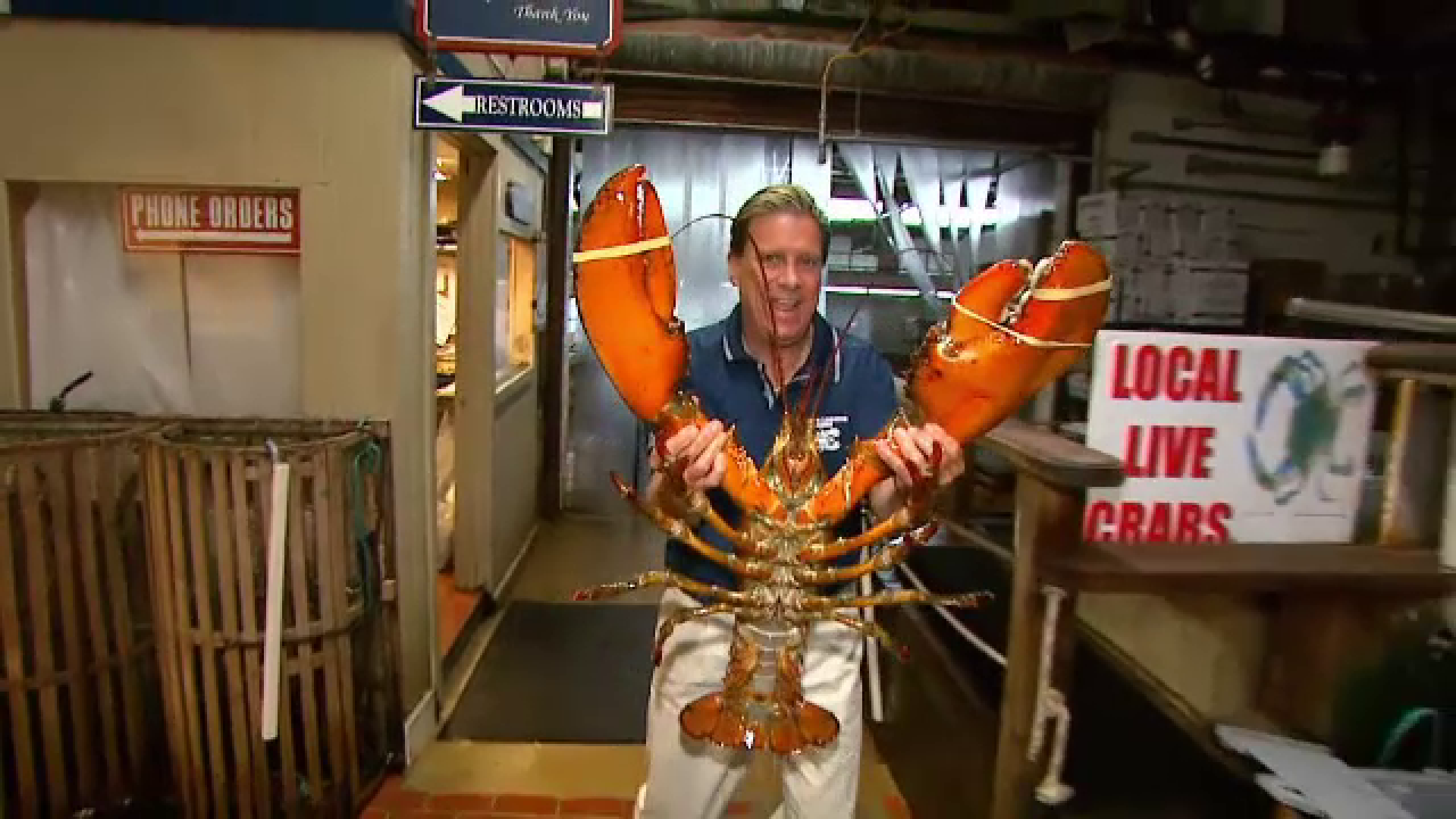 Un homar urias a devenit mascota unui restaurant din New York: "E ...