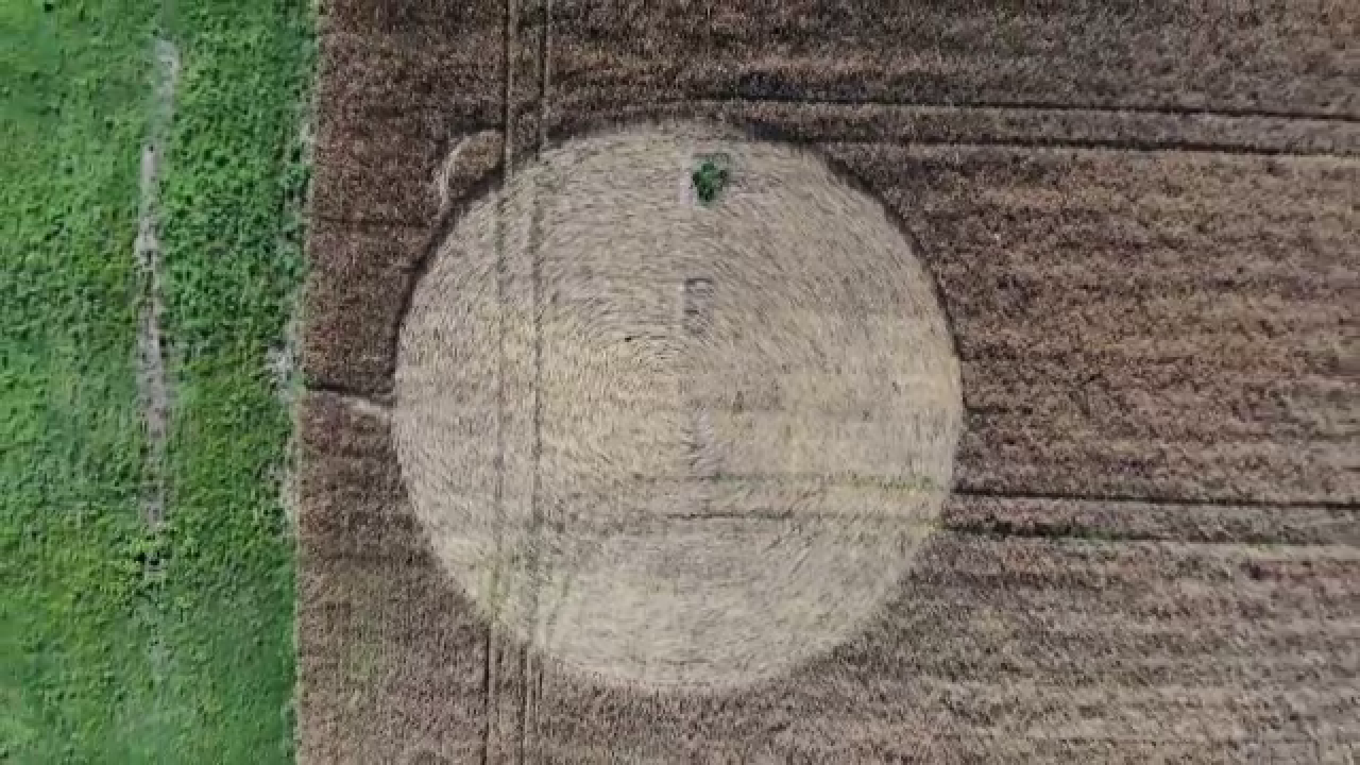 Cerc perfect, apărut în mod misterios într-un lan de grâu din Ungaria ...