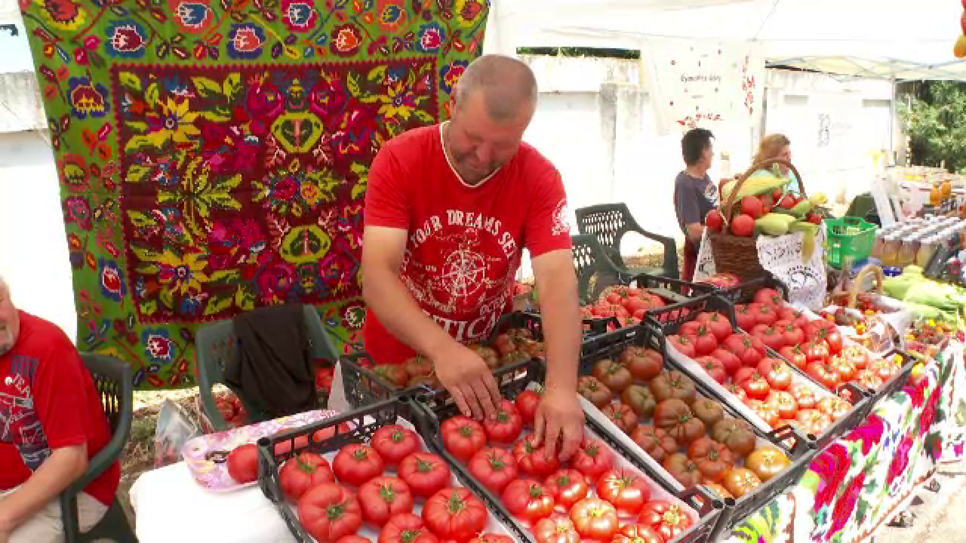 Festivalul de roșii din România unde soiurile impresionează prin gustul ...