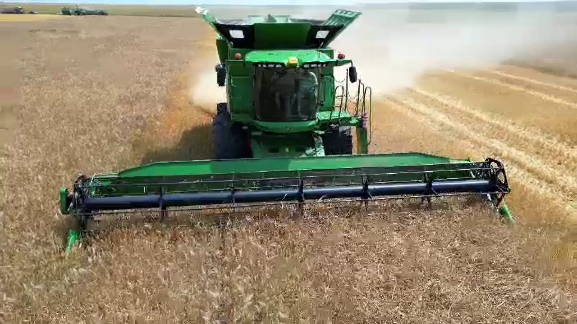 Recolta de grâu, îmbelșugată în vestul țării, dar săracă în est. Care ...