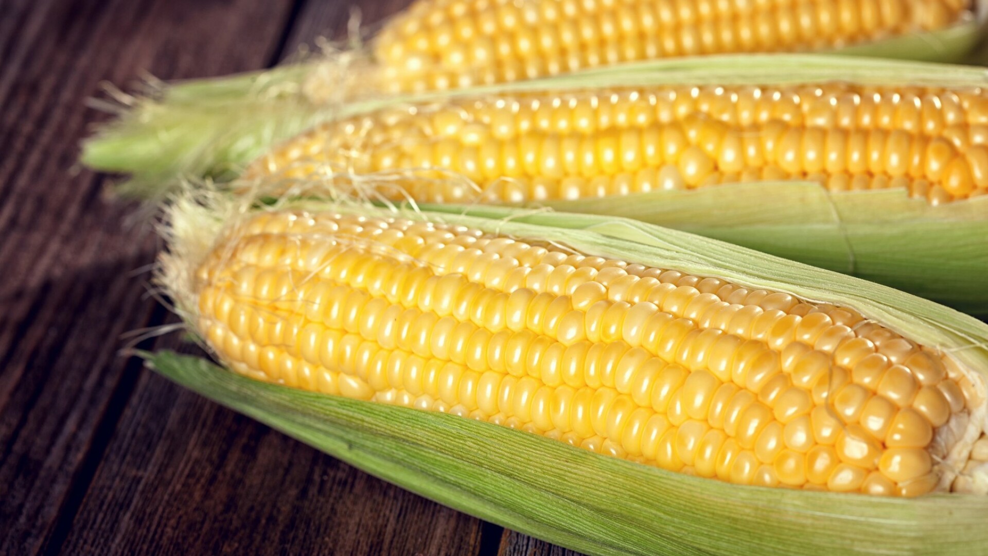 Porumbul zaharat, delicatesa hibrid inclusă în meniul restaurantelor ...