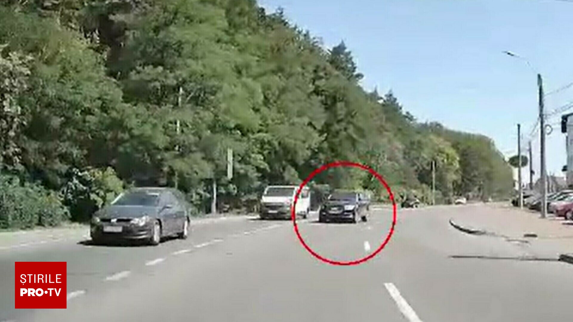 O Urmărire Ca în Filme S A încheiat Cu O Surpriză Uriașă Ce Au