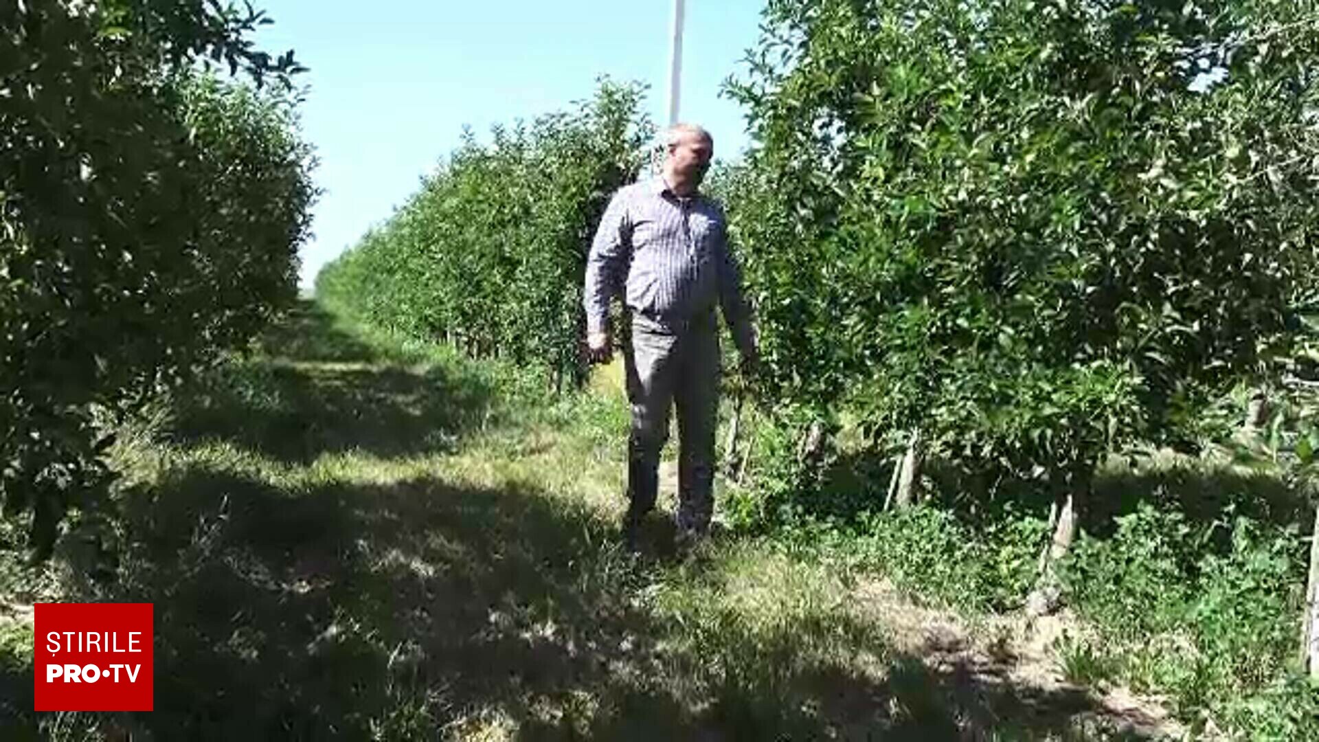 Fermierii afectați de înghețul din primăvară ar putea primi 3.000 de euro pe hectar de la ...