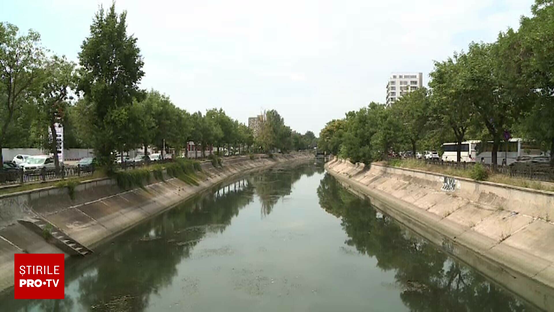 Râul Dâmbovița, sufocat de alge. Canicula a transformat apa din Capitală într-un pericol pentru ...