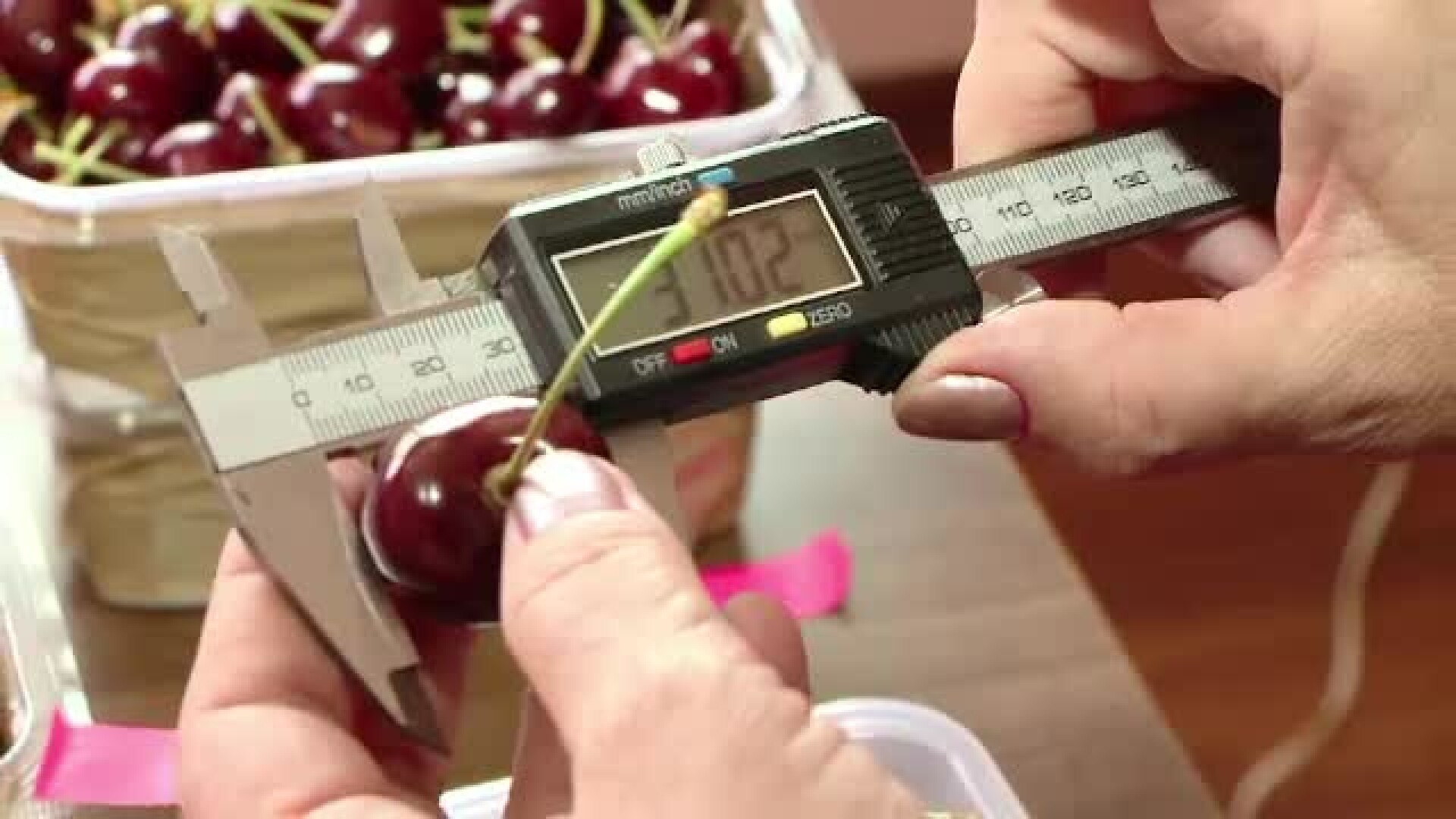 Cireasa cat o pruna, regina la festivalul fructelor de sezon de la Iasi ...