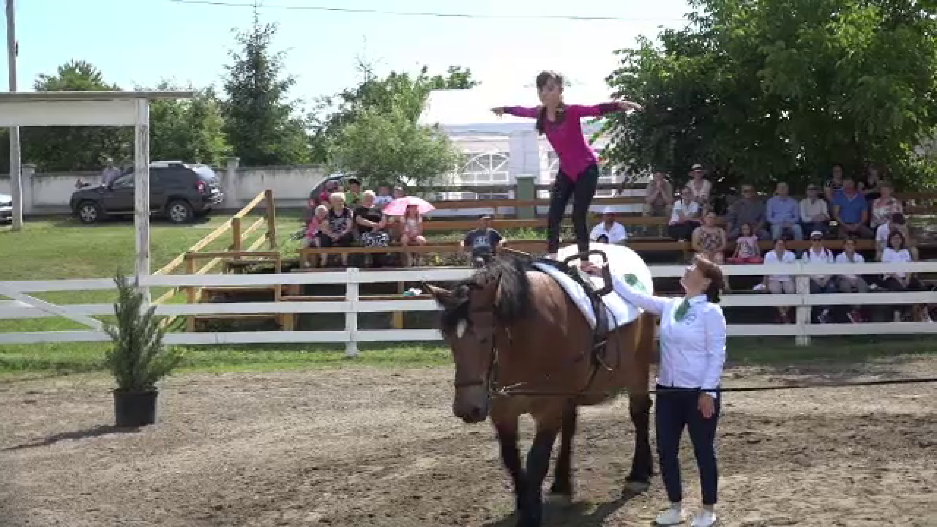 Terapia asistată de cal, în ajutorul copiilor cu depresii sau cu ...