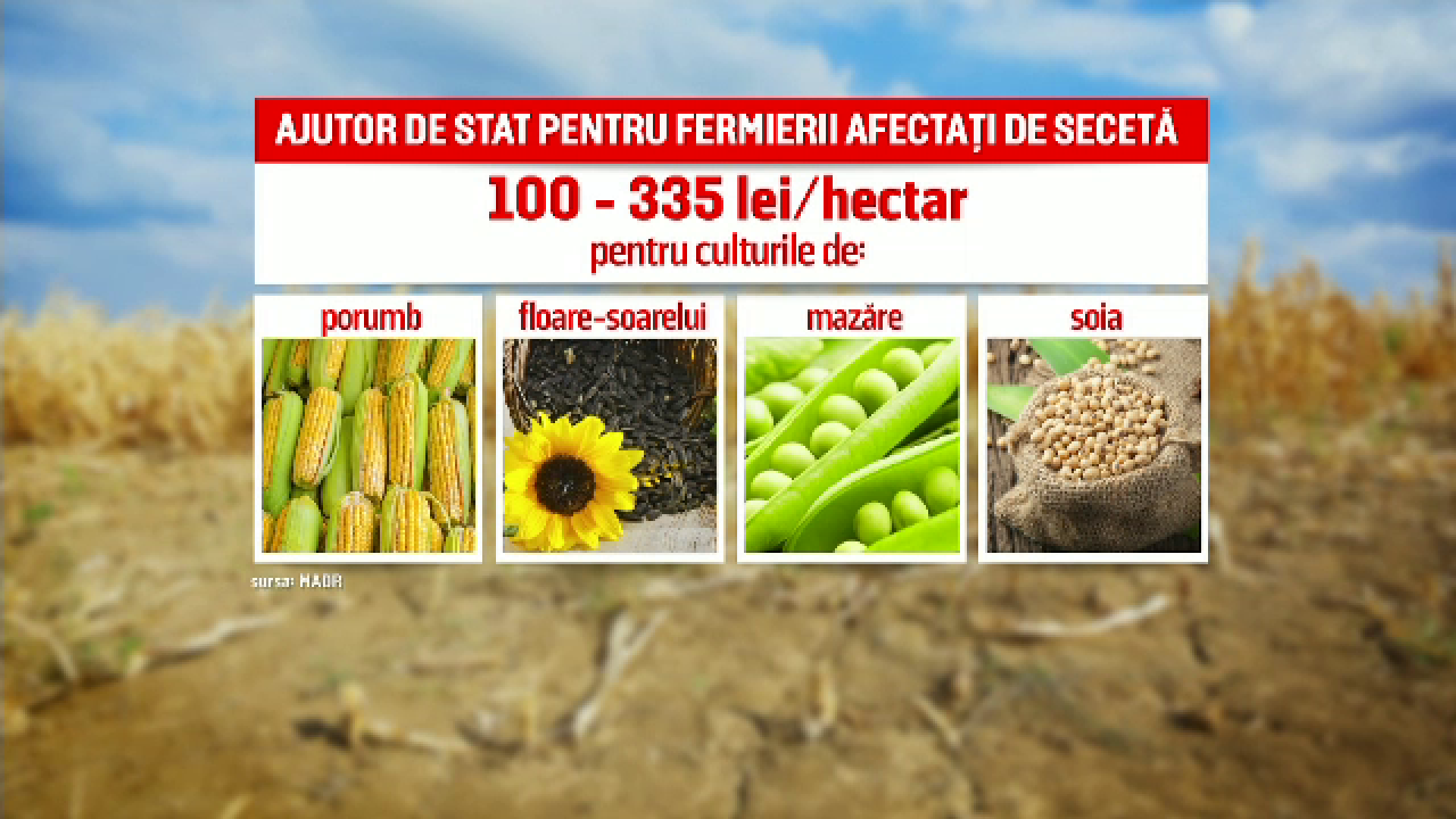 Fermierii afectați de seceta de anul trecut așteaptă despăgubirile de la stat și de la Comisia ...