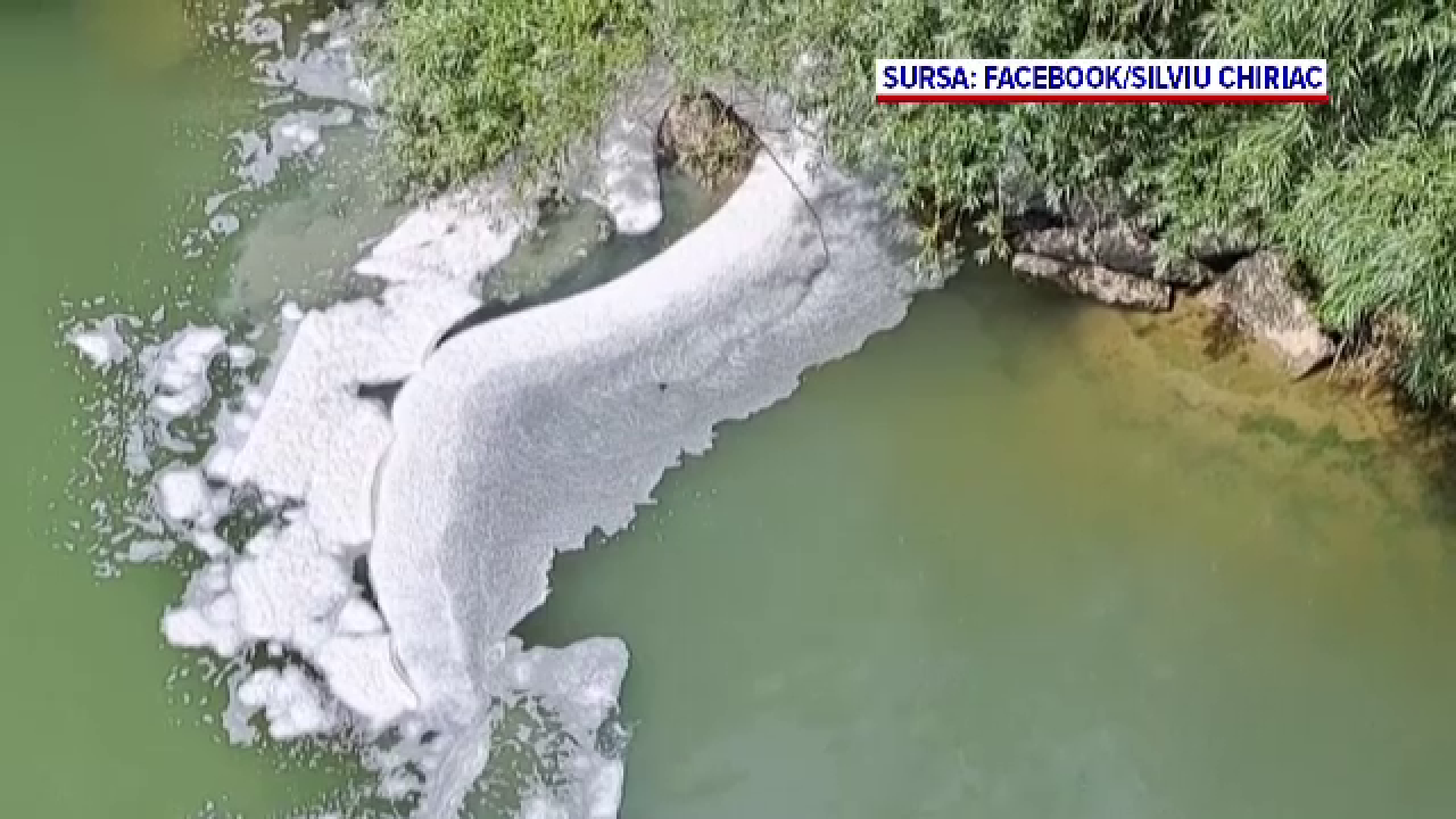 Poluare pe râul Siret. O spumă albă urât mirositoare s-a depus la mal. Autoritățile nu pot ...