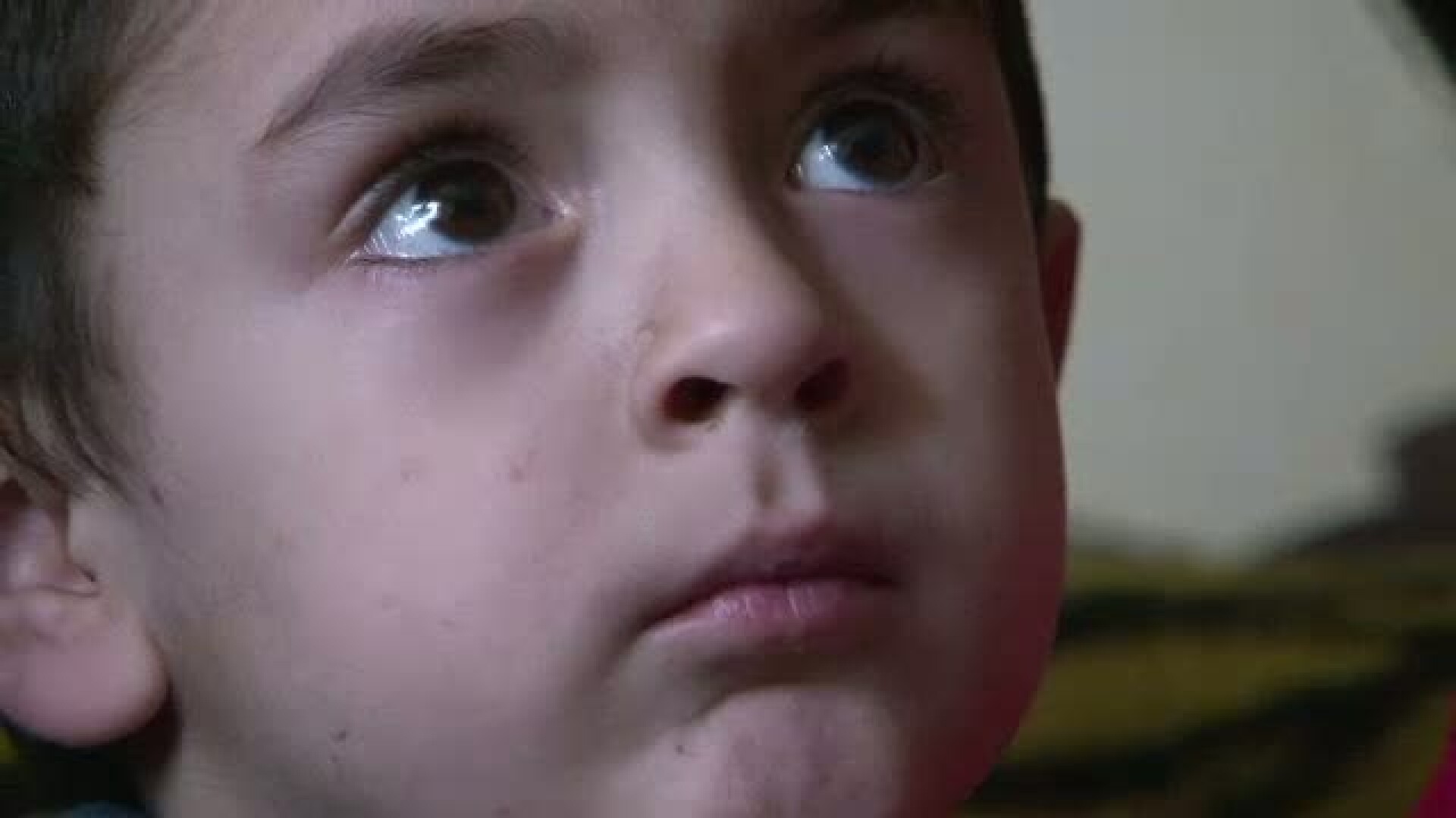 Mii de copii din Romania care urmau sa ajunga la orfelinat, salvati de ...