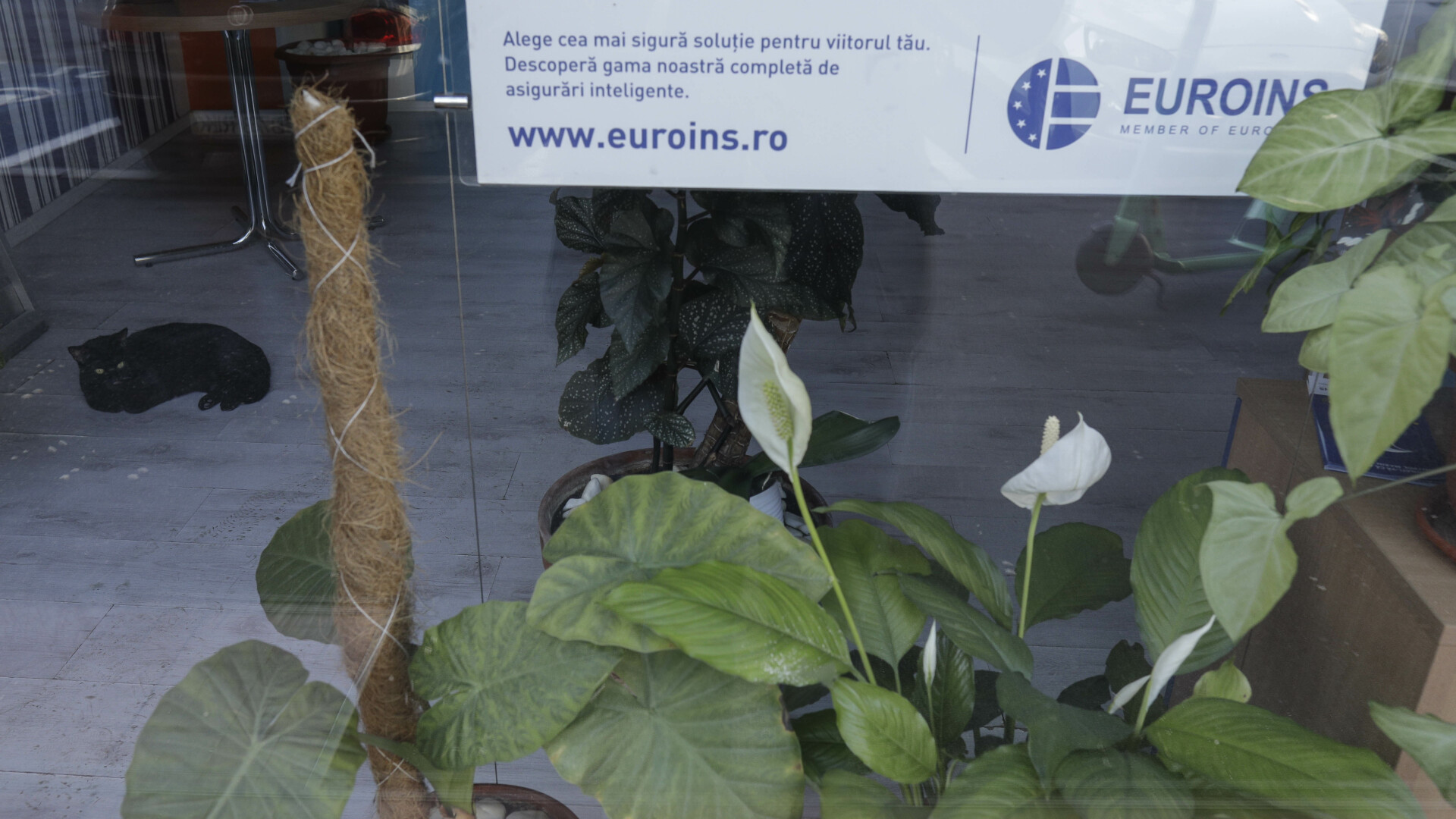 Reacția Euroins după ce ASF i-a retras autorizația. Compania acuză o preluare ostilă și vorbește ...