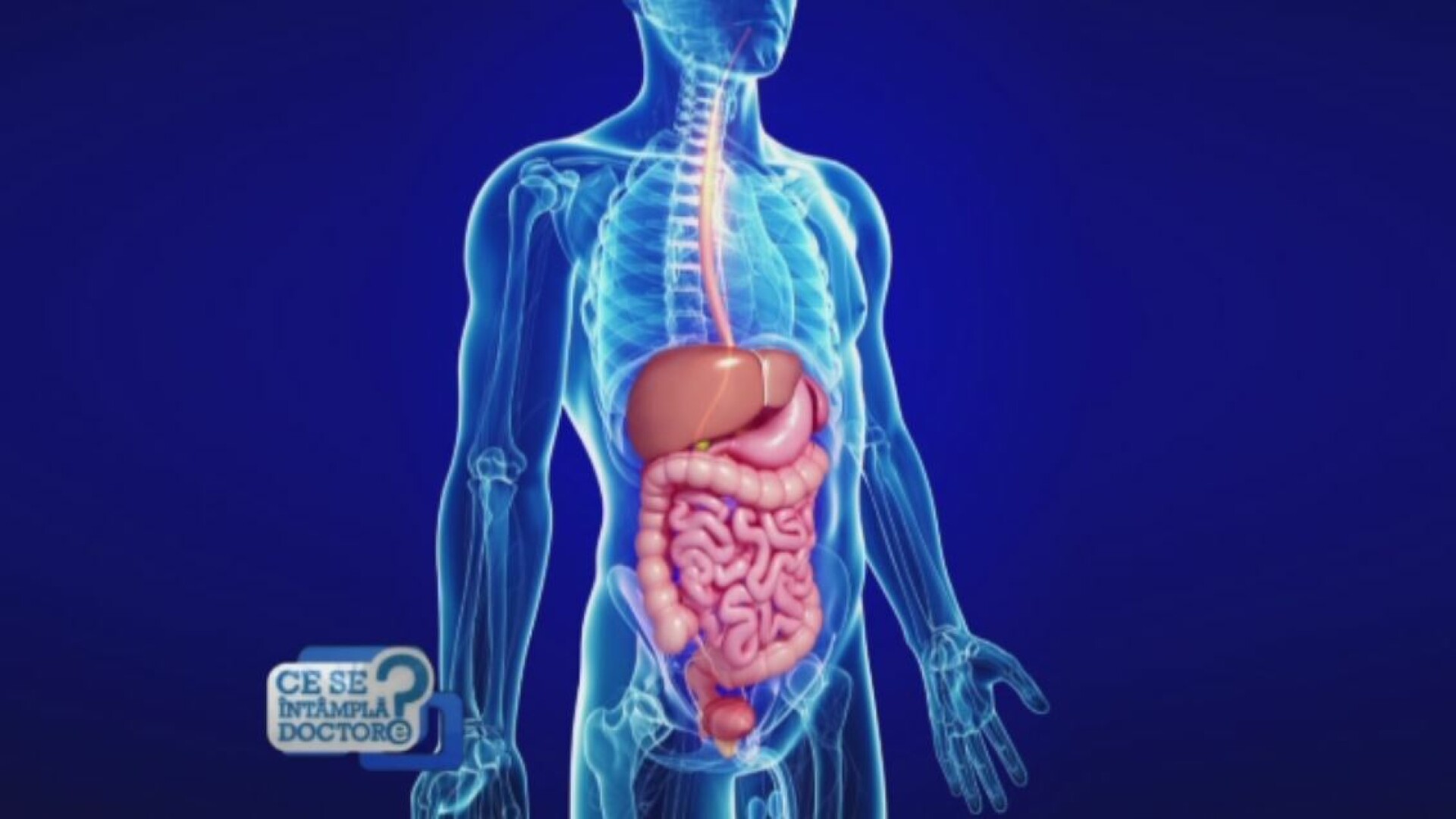 Stomacul, primul organ lovit de toxinele din alimente. Combinatiile de ...