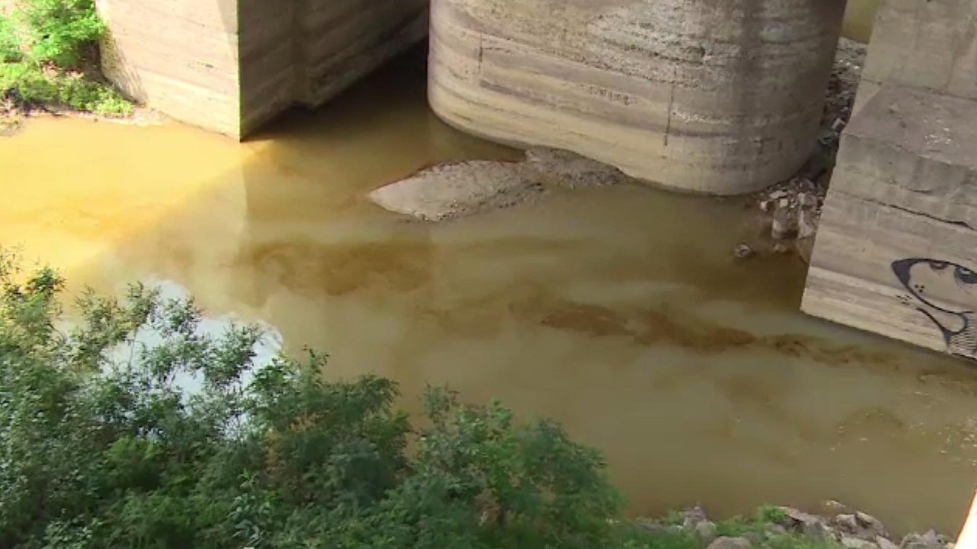 Alertă de poluare pe râul Jiu, după ce o conductă de țiței s-a fisurat ...