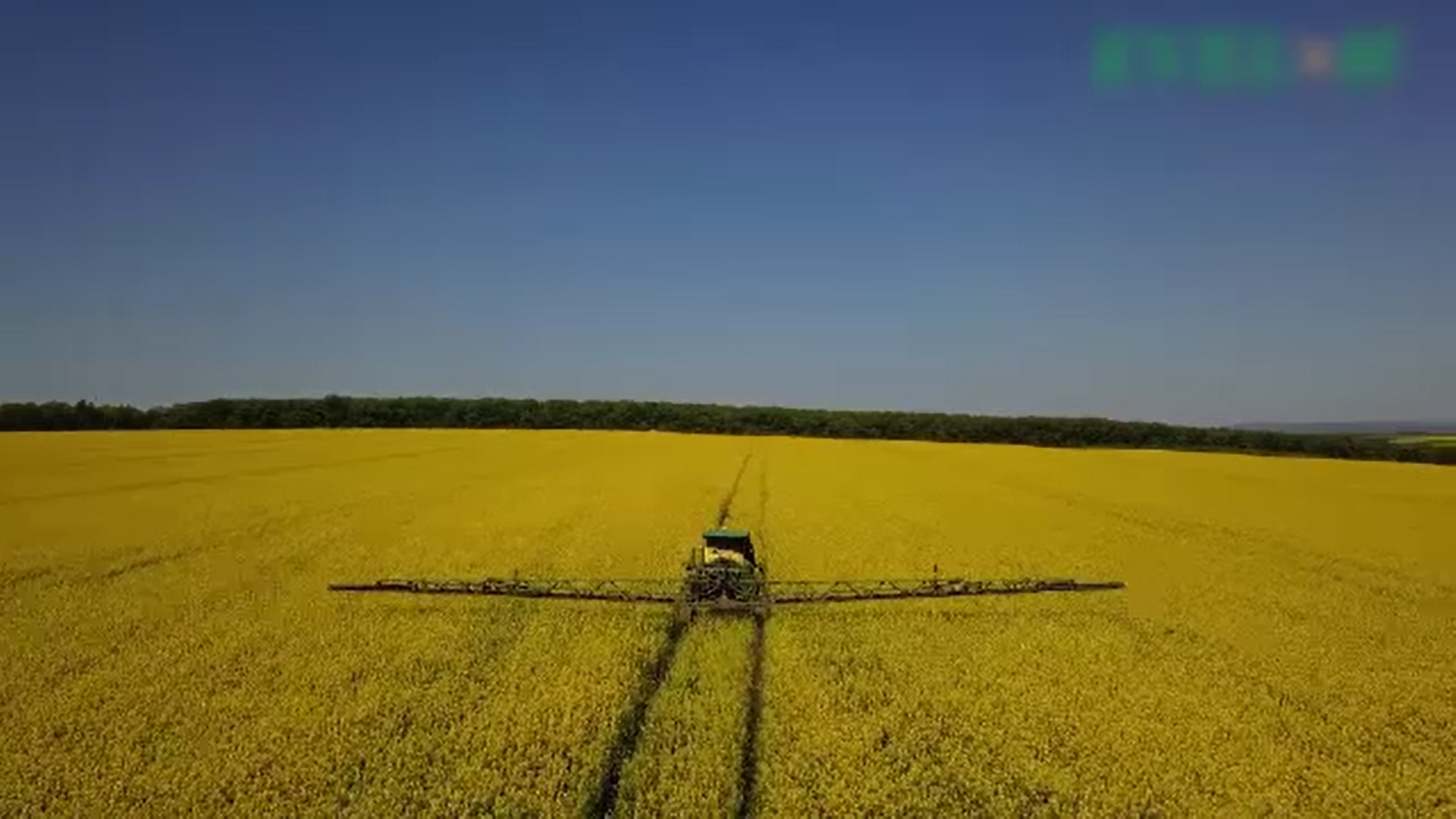 Tot mai mulți fermieri din România se îndreaptă spre agricultura ...