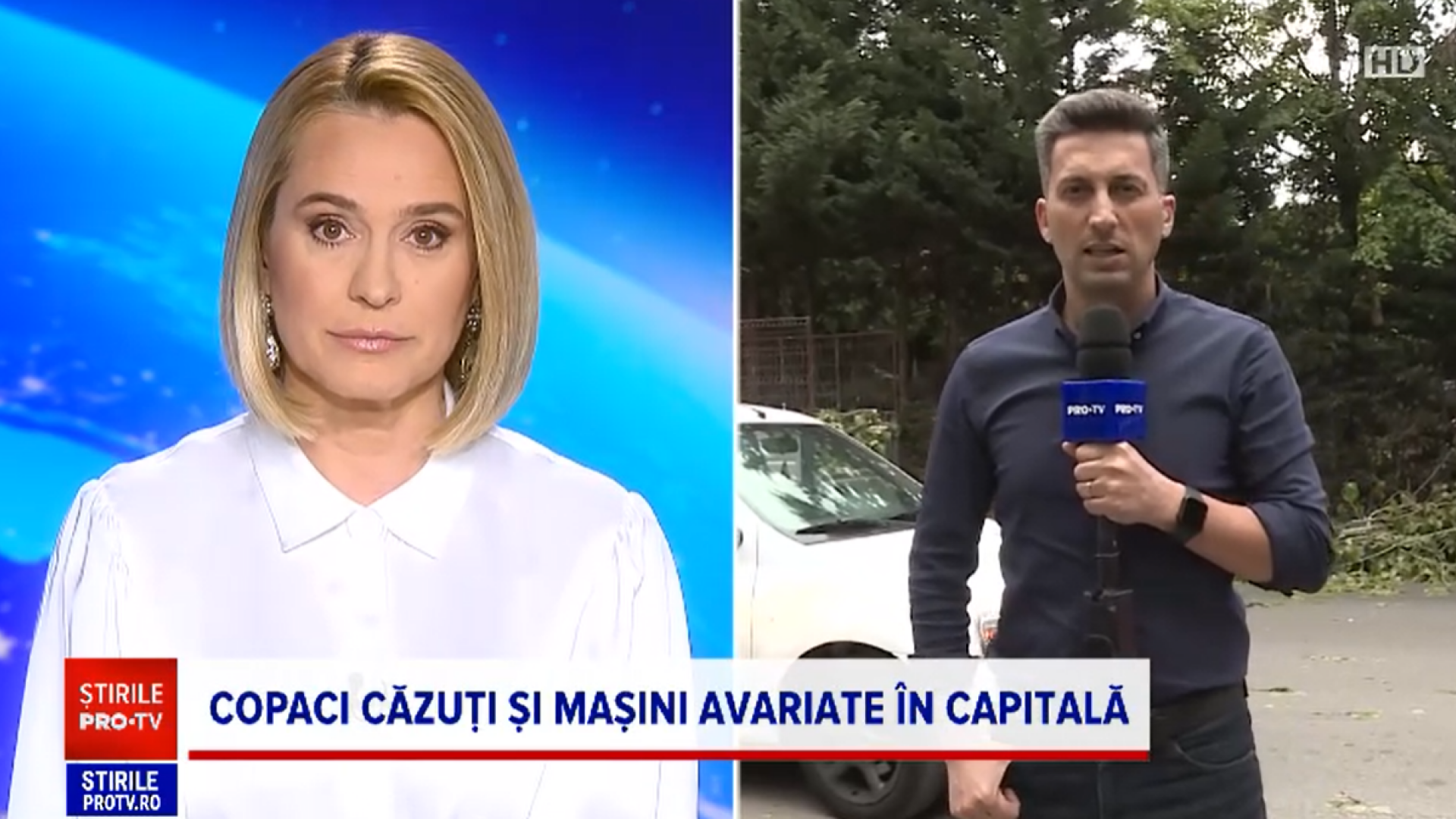 Cod galben de vijelii și ploi abundente în țară. În București, un om a fost prins sub un copac ...