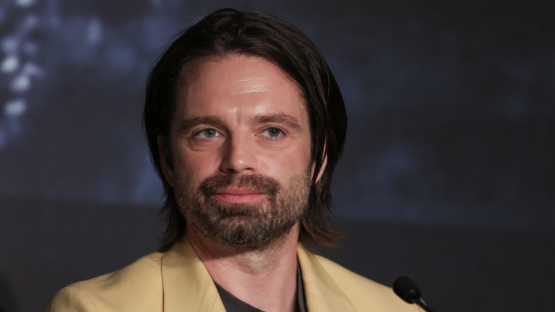Sebastian Stan, cel mai cunoscut actor român de la Hollywood, ovaționat ...