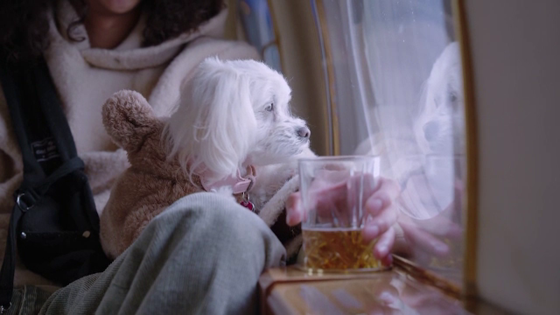 Tot mai multe companii aeriene oferă zboruri de lux pentru cei care ...