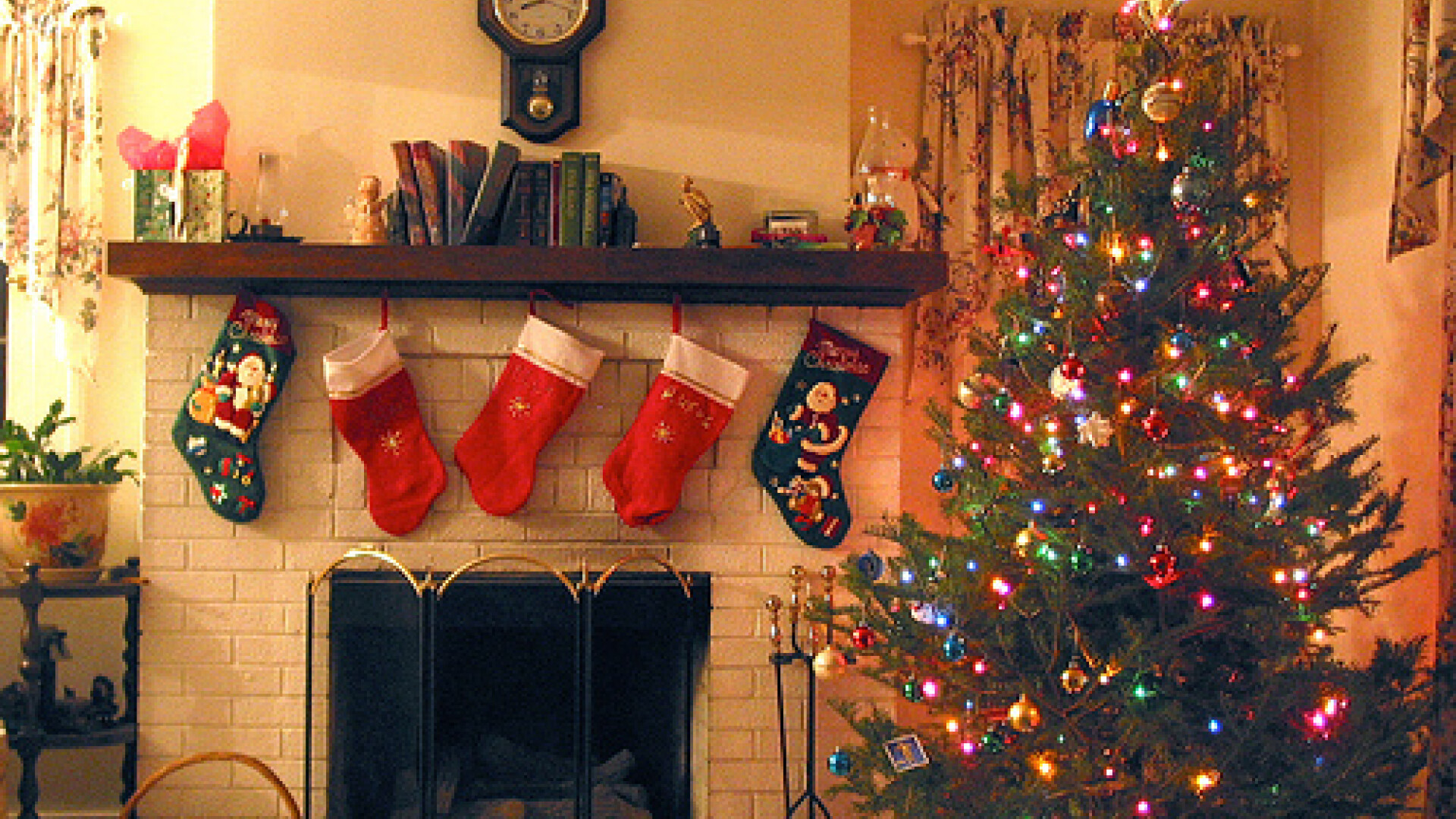 Ce preferi de Craciun? Un brad romanesc sau unul de afara? - Știrile ProTV