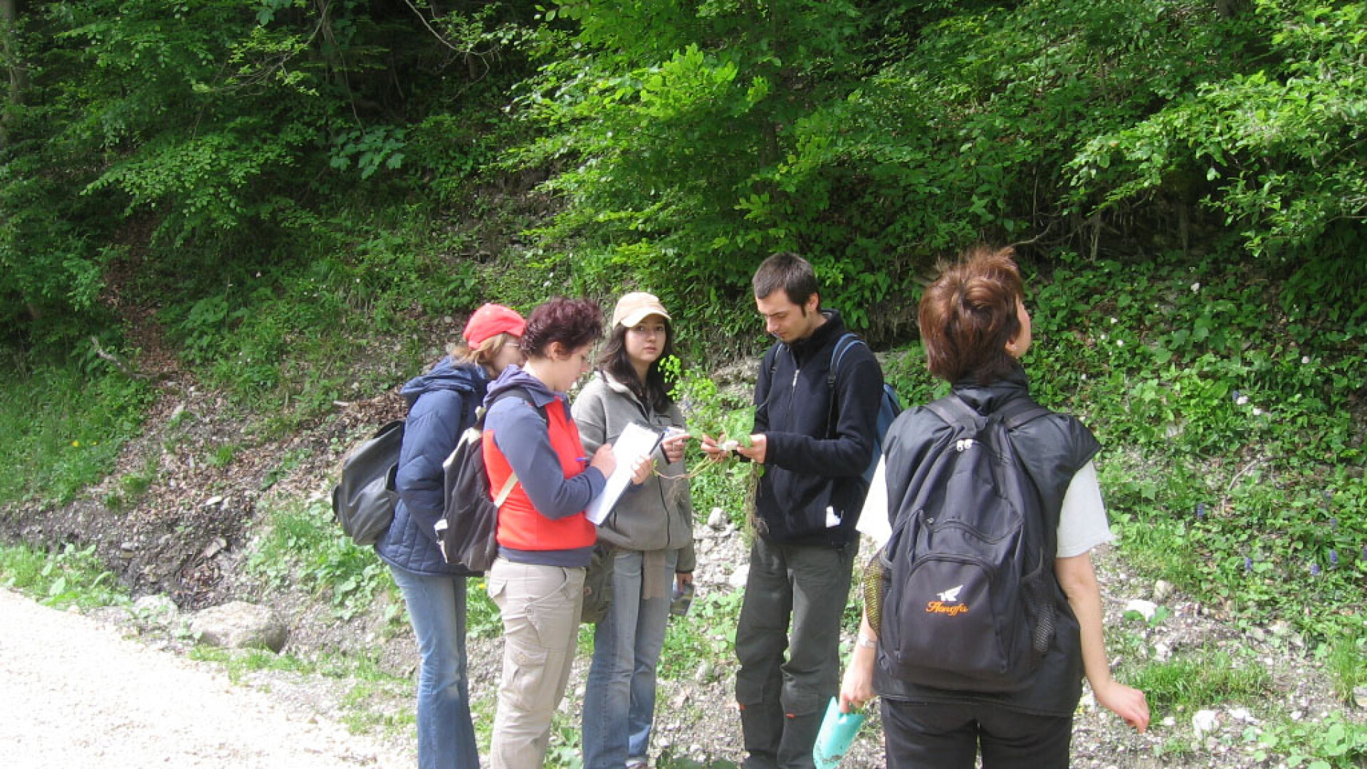 Valea Cerbului din Busteni - locul turistilor saraci - Știrile ProTV