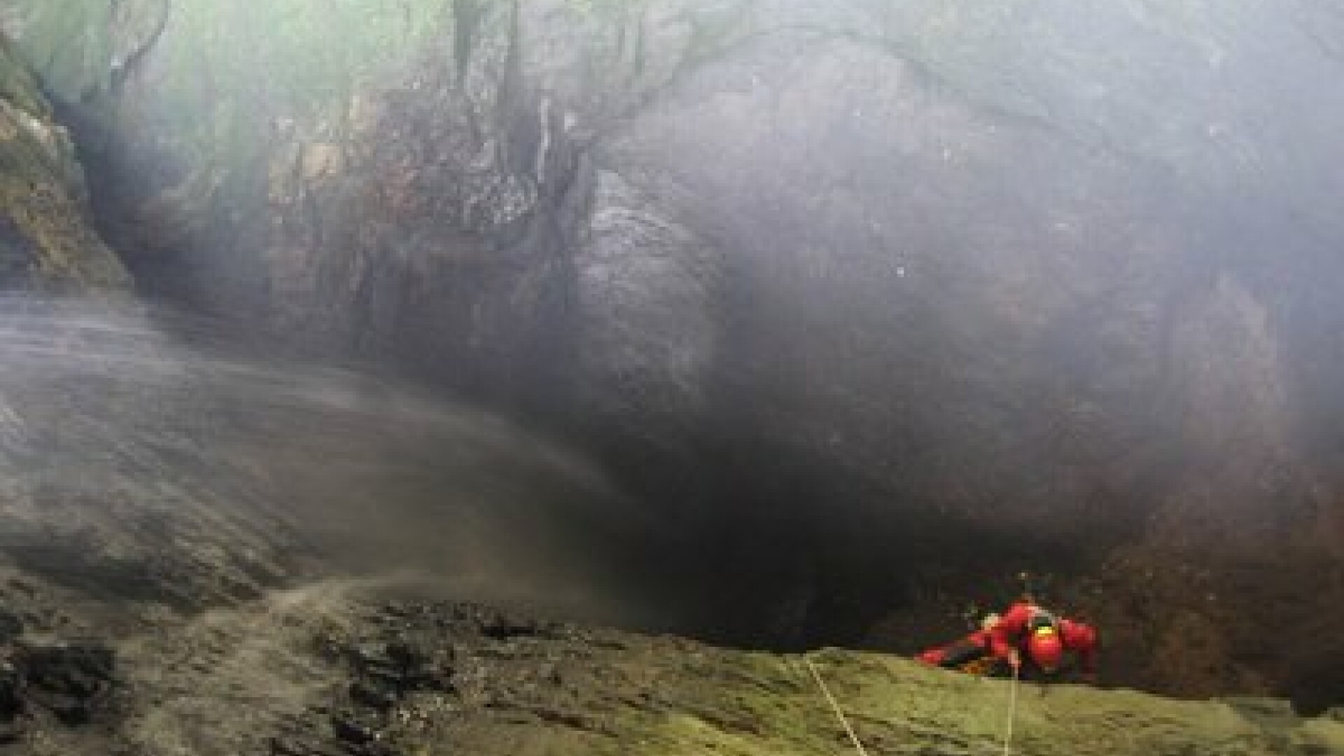 Pesterile din Romania, confundate cu tomberoane! - Știrile ProTV