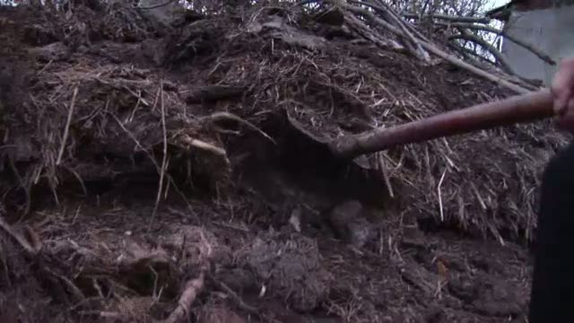 Importam pana si balegar. Romania nu produce combustibil ecologic ...