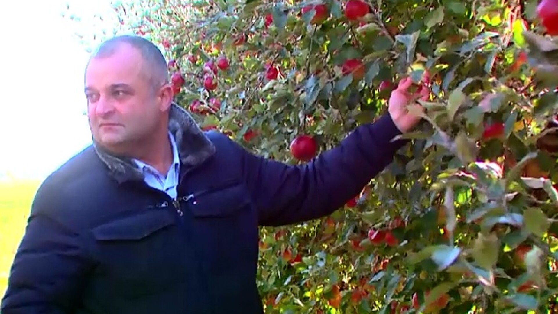 "Fiecare dintre noi poate schimba Romania". Un fermier reuseste sa duca ...