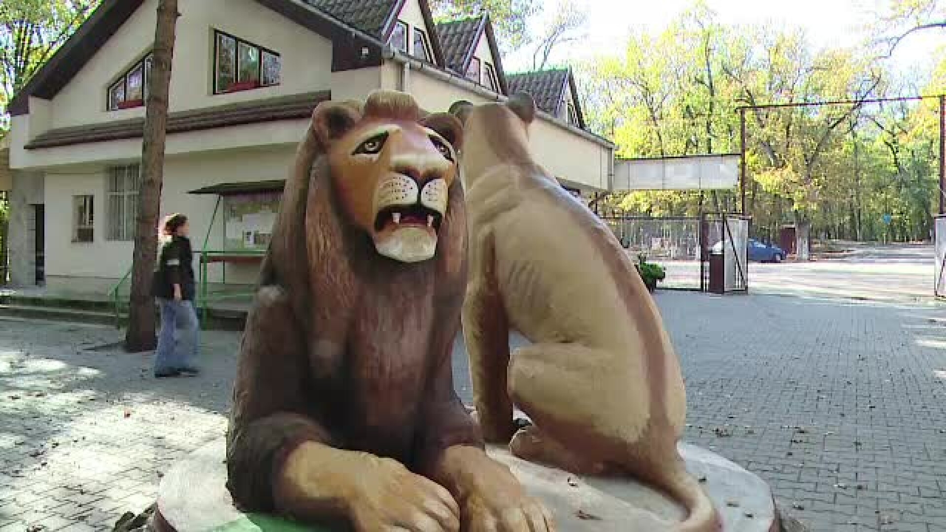 Scandal la Gradina Zoologica din Targu Mures. Vizitatorii au ramas cu ...