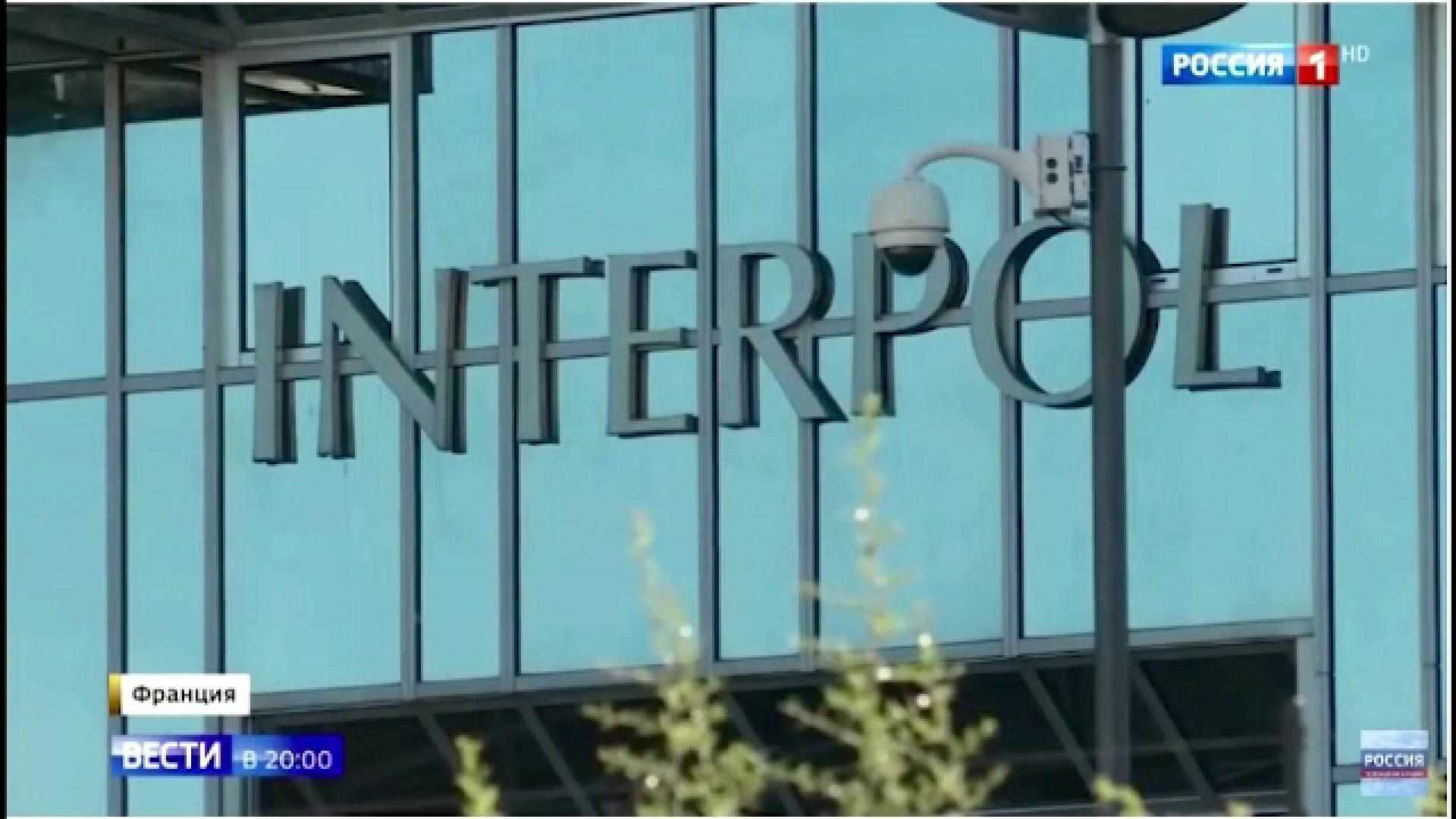 Pe cine a votat România la conducerea Interpol. Avea de ales între un ...