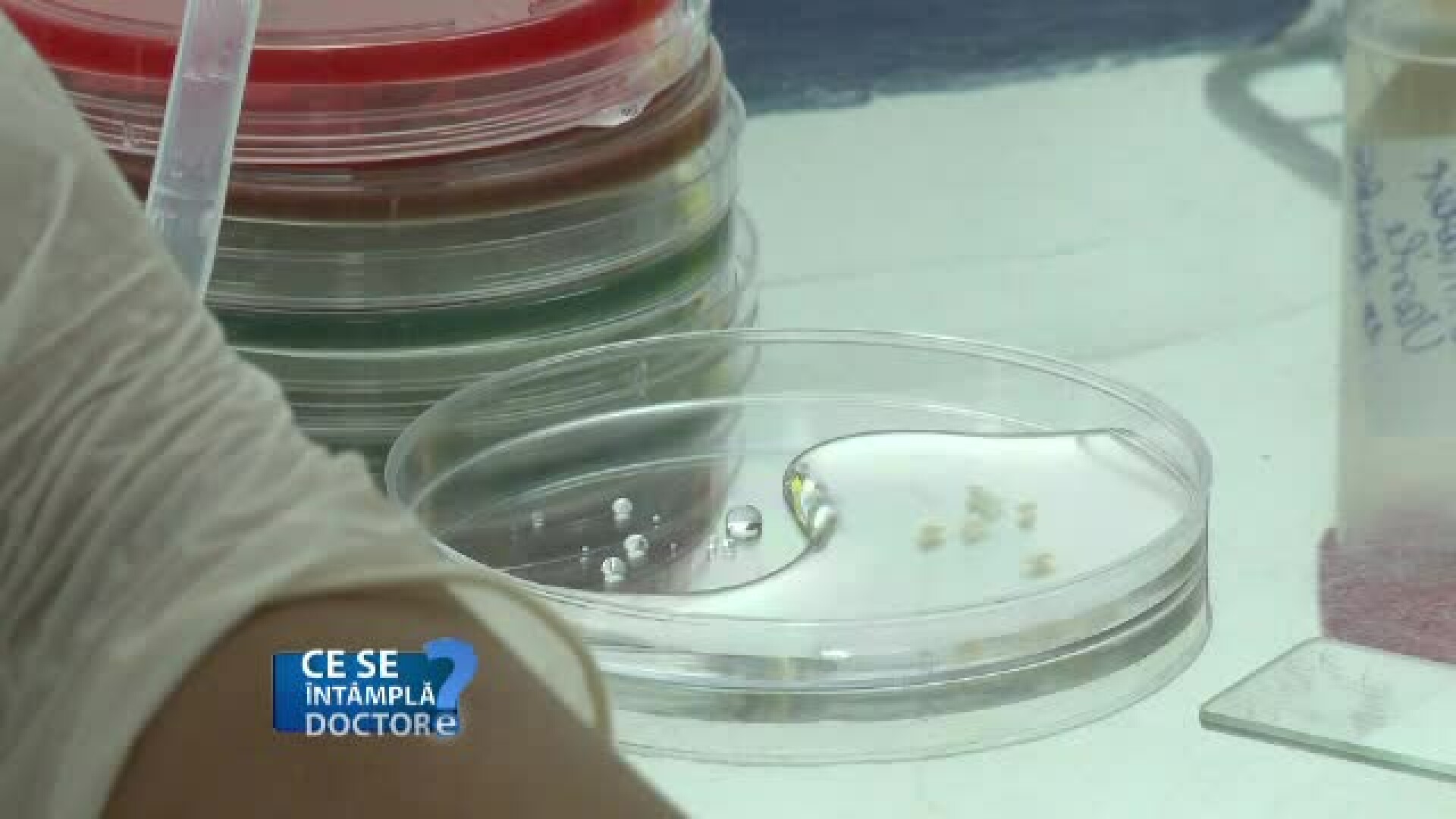 Antibiotice în cazul unei simple viroze? Medicii spun de ce este greșit ...