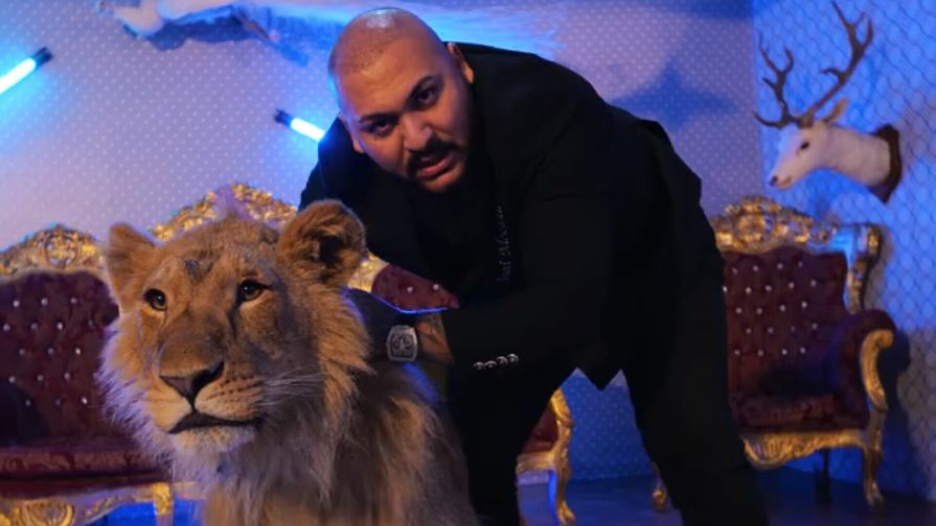 Cui aparține leul din clipul lui Dani Mocanu. A fost găsit într-o ...