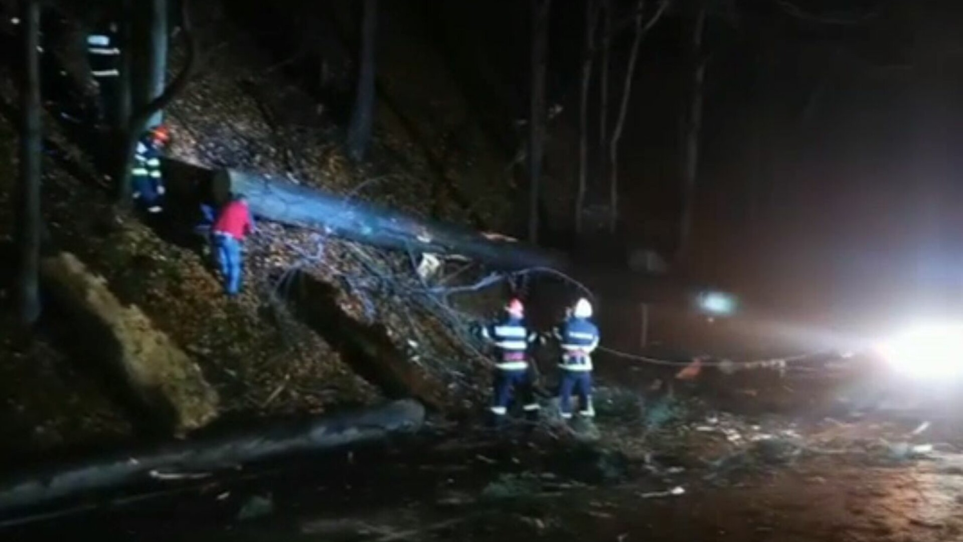 Doi copaci prăbușiți au blocat traficul pe Valea Prahovei. O oră și ...