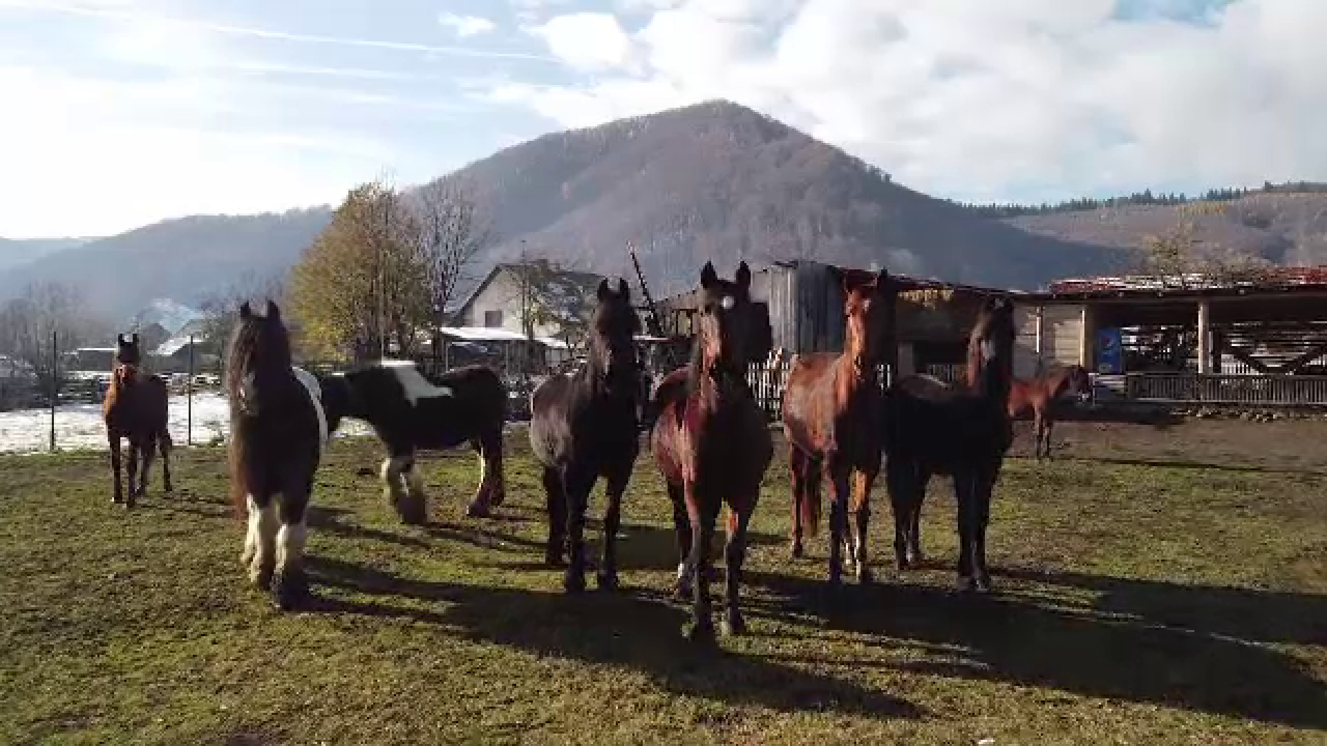 Cele mai spectaculoase zone rurale din România pe care merită să le ...