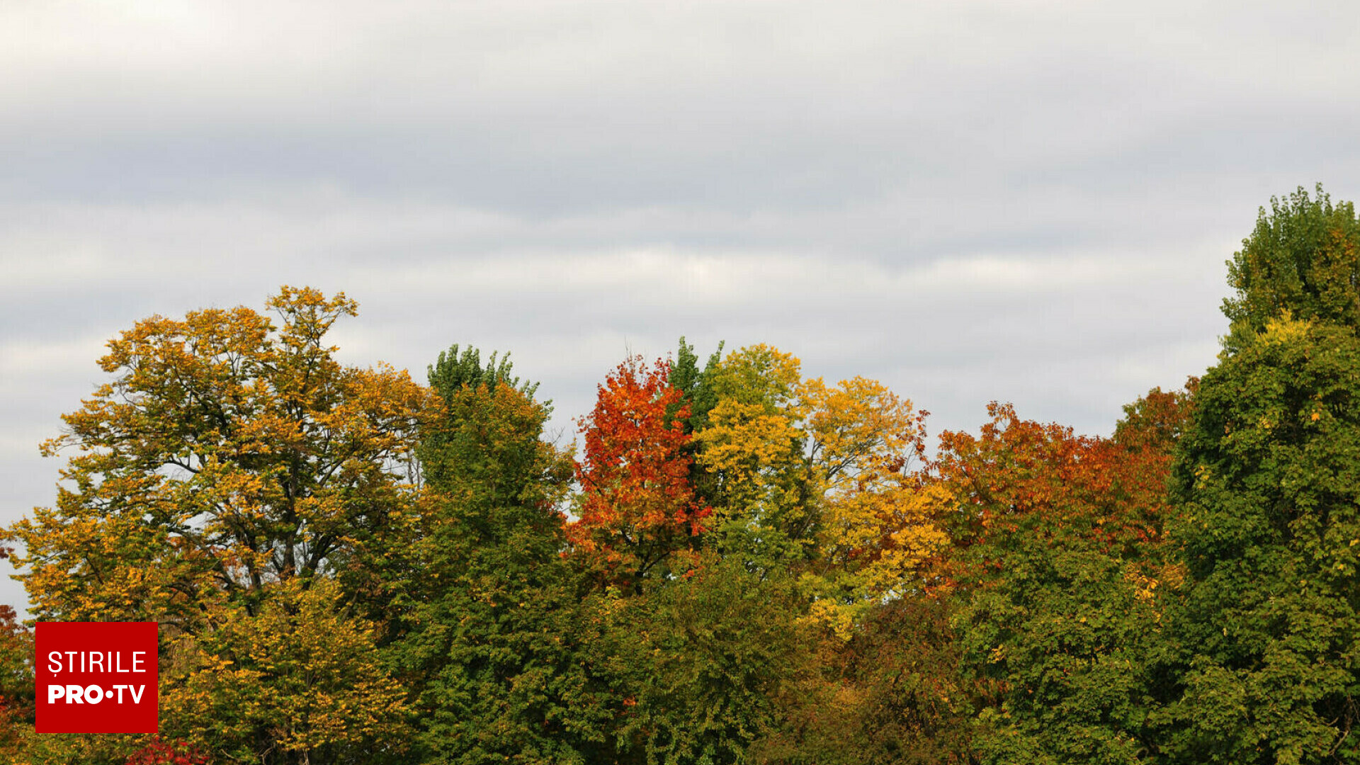 Cum va fi vremea în următoarele două săptămâni. Prognoza meteo pe ...