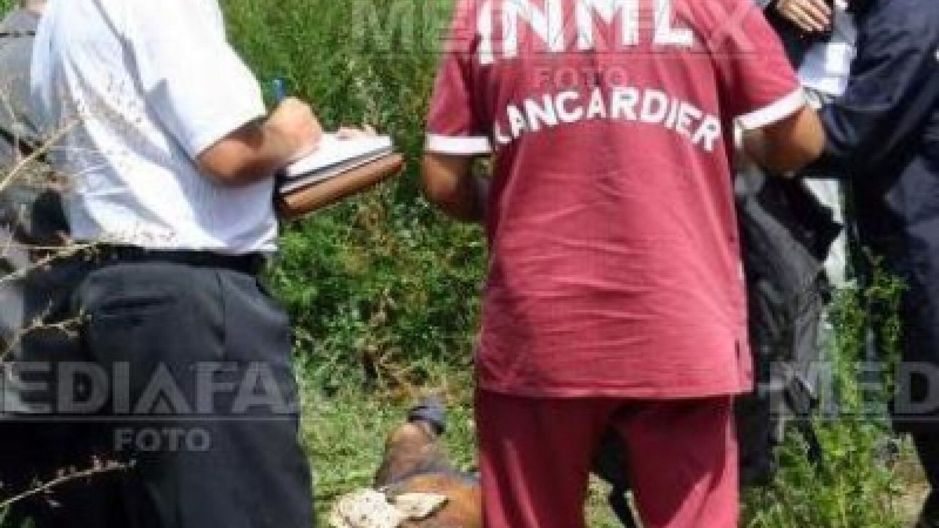 Cadavru in putrefactie, descoperit intr-o padure din Arges - Știrile ProTV