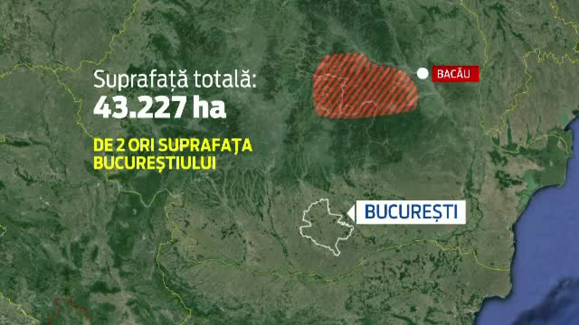 MAFIA lemnului, lovita de DNA cu ajutorul "Romania, te iubesc". Ilie ...