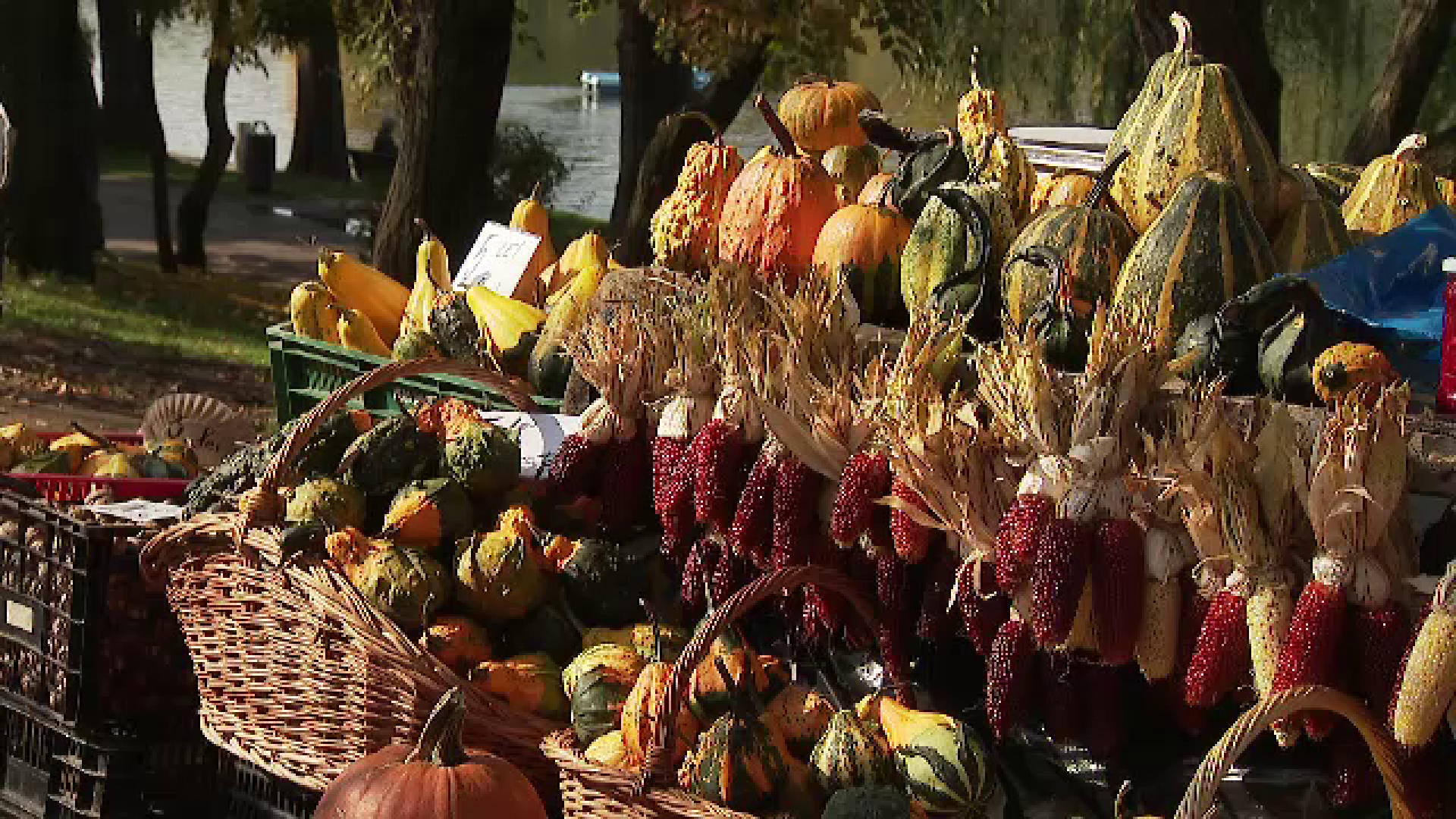 Recoltele toamnei, prilej de sărbătoare în Capitală. Ce festivaluri s ...