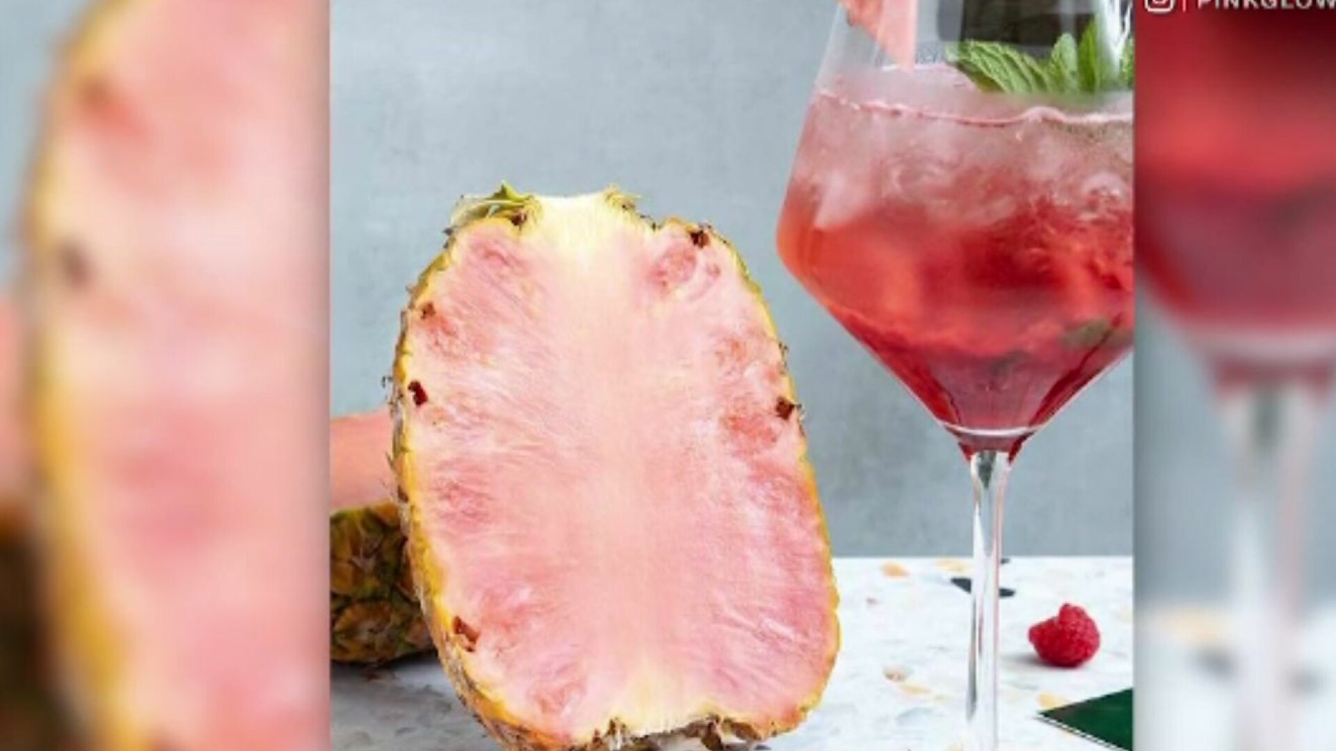 Ananas roz, creat după 12 ani de cercetări. Cât costă unul - Știrile ProTV