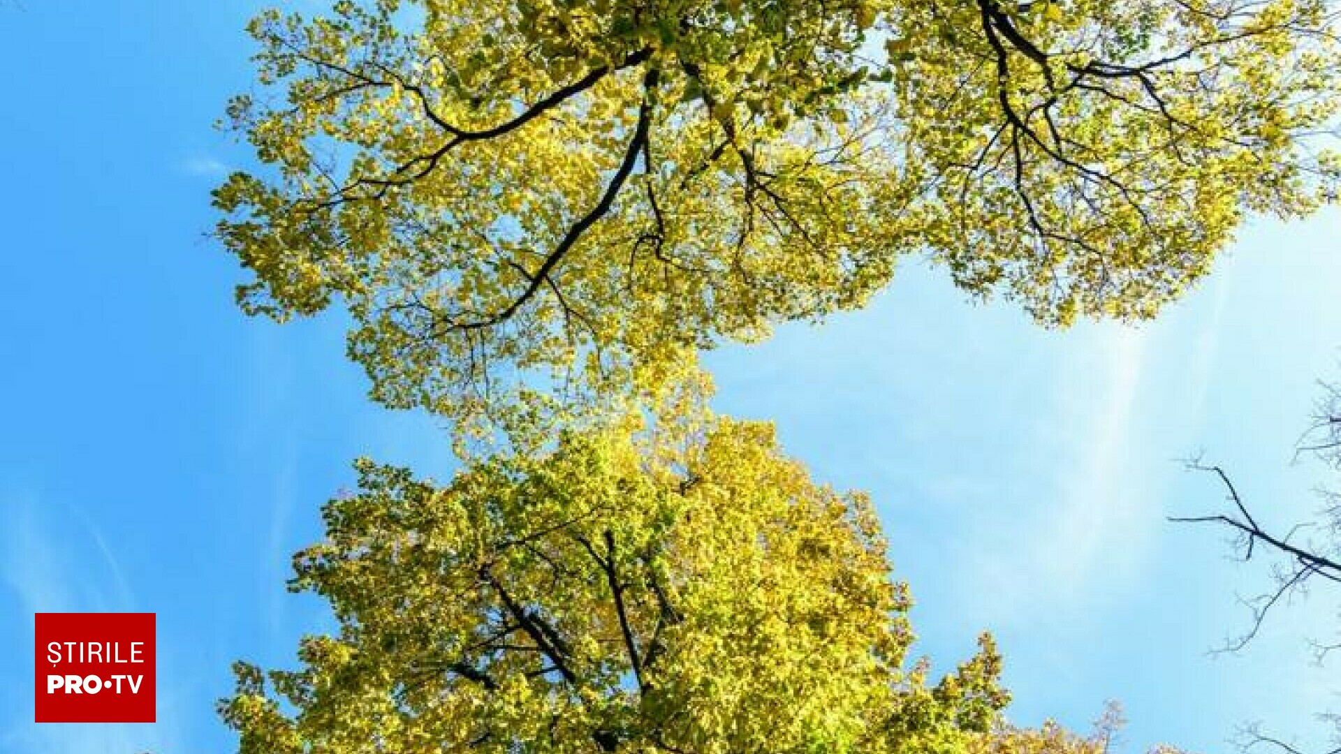 Vremea azi, 8 octombrie. Temperaturile încep să crească în România ...