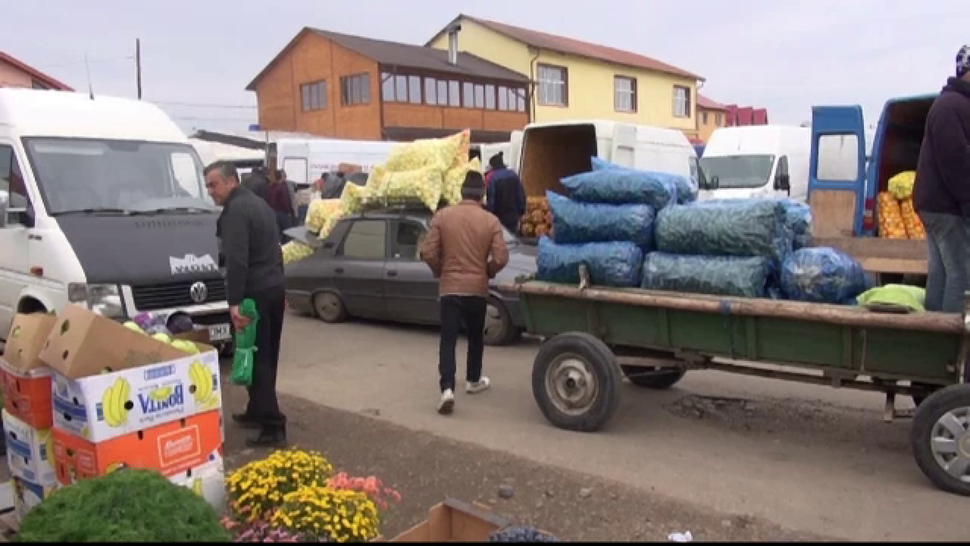 Recolta bogata a scazut pretul legumelor, dar agricultorii sunt nevoiti ...