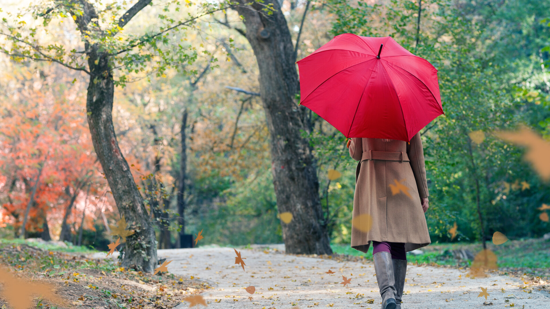 Vremea azi, 26 octombrie. Atmosferă închisă și ploi în toată țara. Ce ...