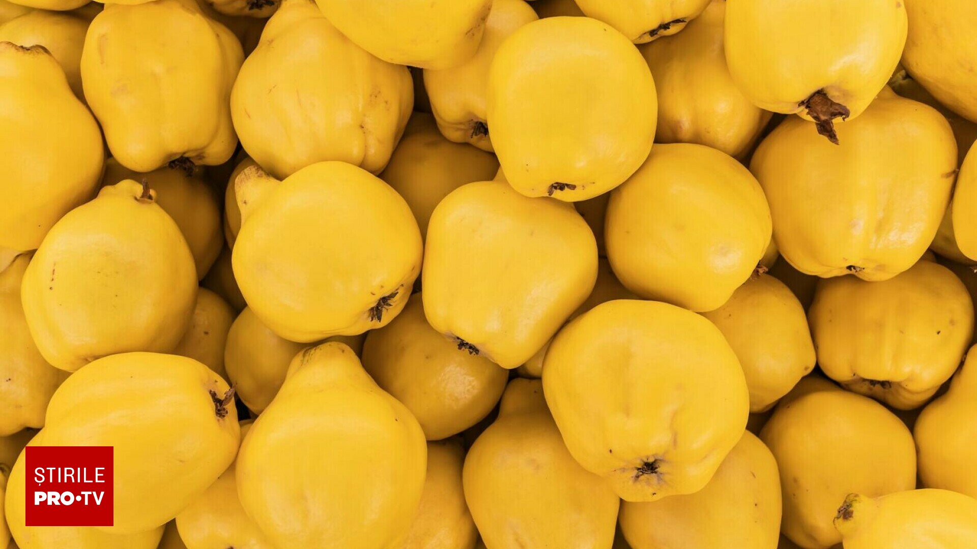 Gutui - beneficii pentru sănătate și cum să le consumi. La ce ajută ...