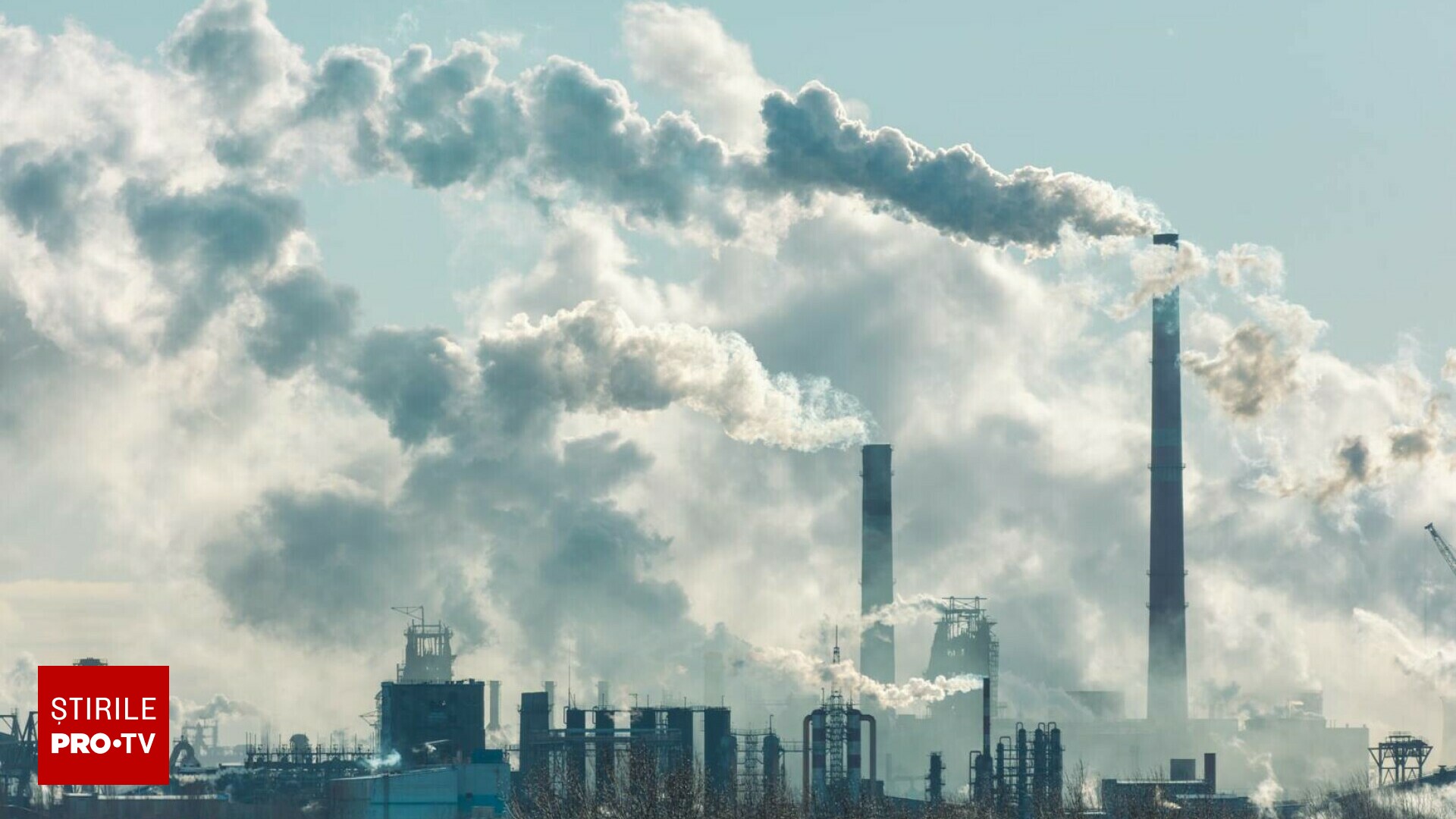 Poluarea din marile orașe provoacă inflamație a mucoasei respiratorii ...