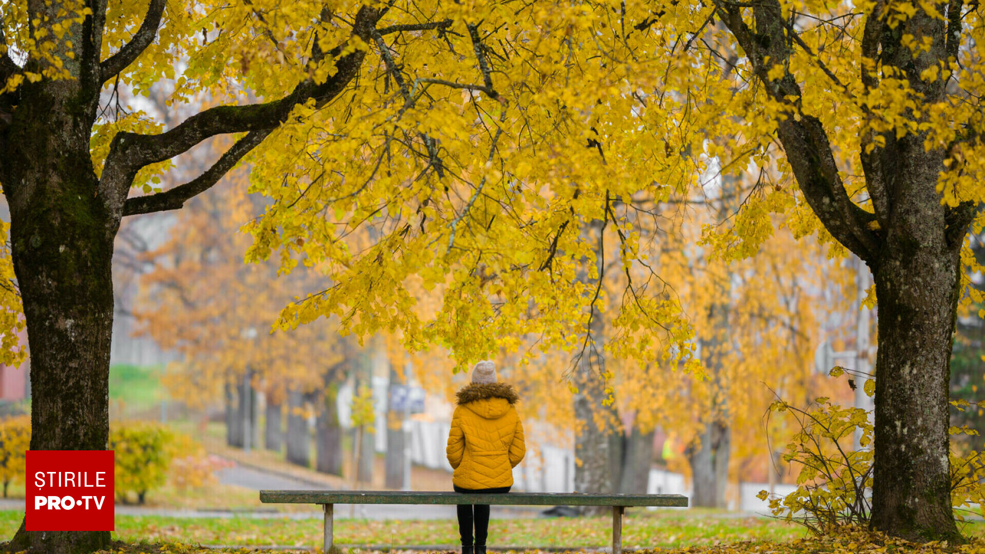 Vremea azi, 21 octombrie. Temperaturile maxime ajung și la 20 de grade ...