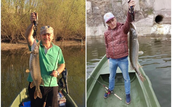 Un punct de vedere | Copacul din pădure